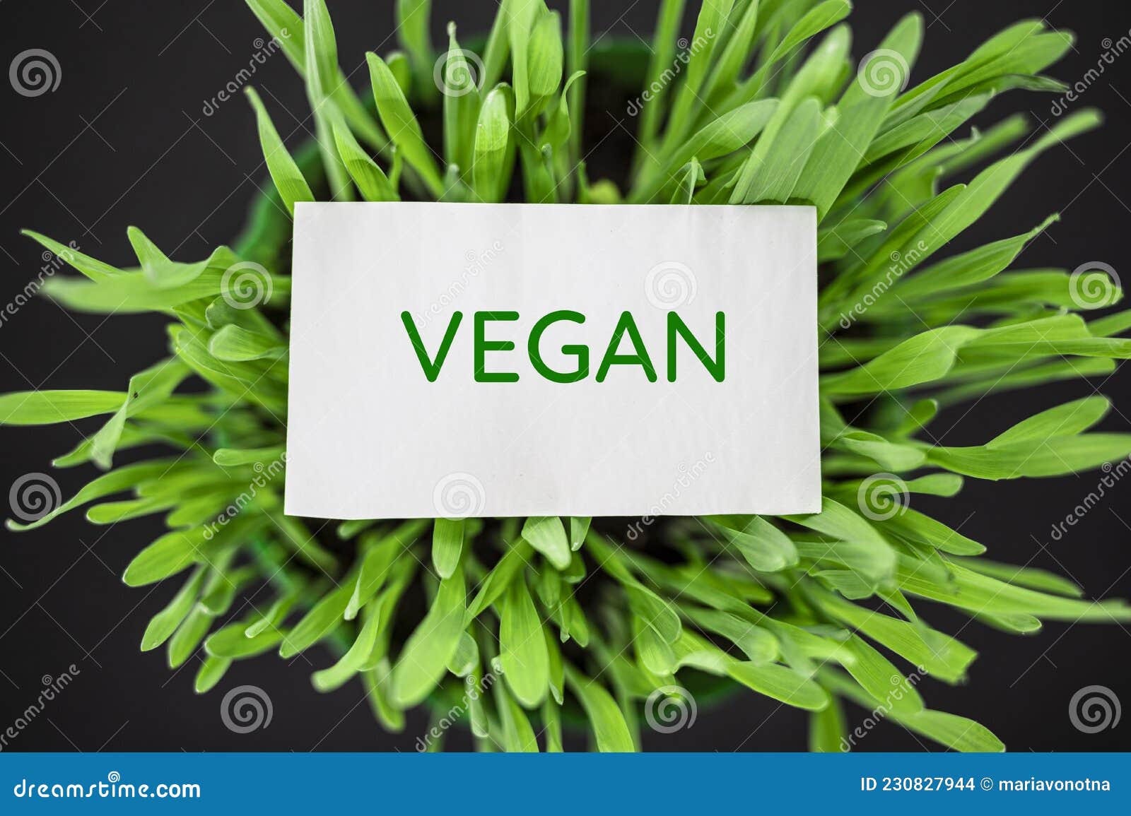 Top View of Green Grass with Text Vegan Stock Photo - Image of ecology ...