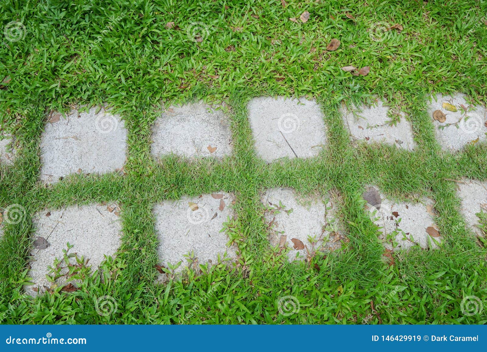 Top View of Green Lawns with Bricks Pathways Stock Image - Image of ...