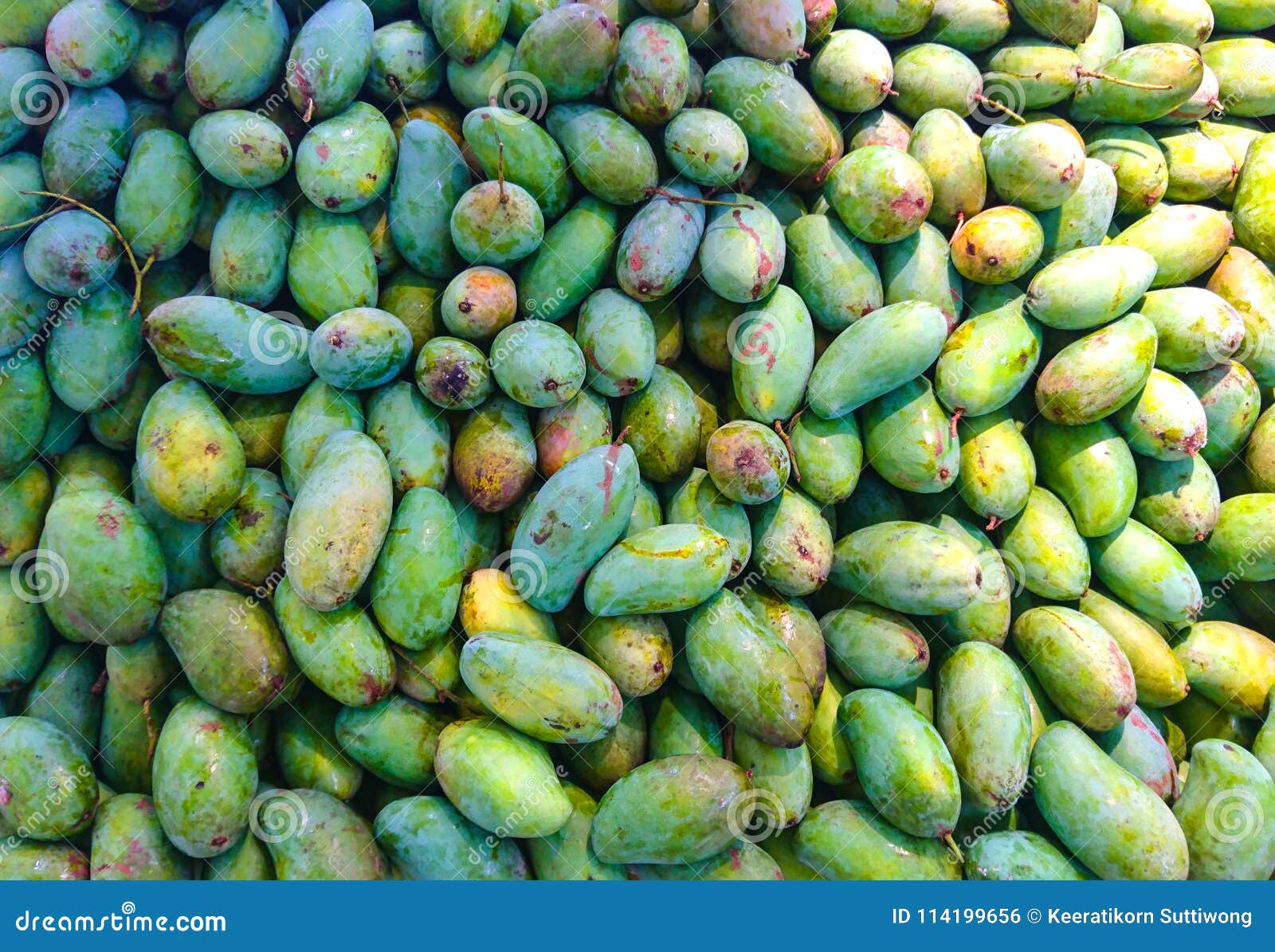 Top View Green Mango Background Stock Photo - Image of mango, thailand ...