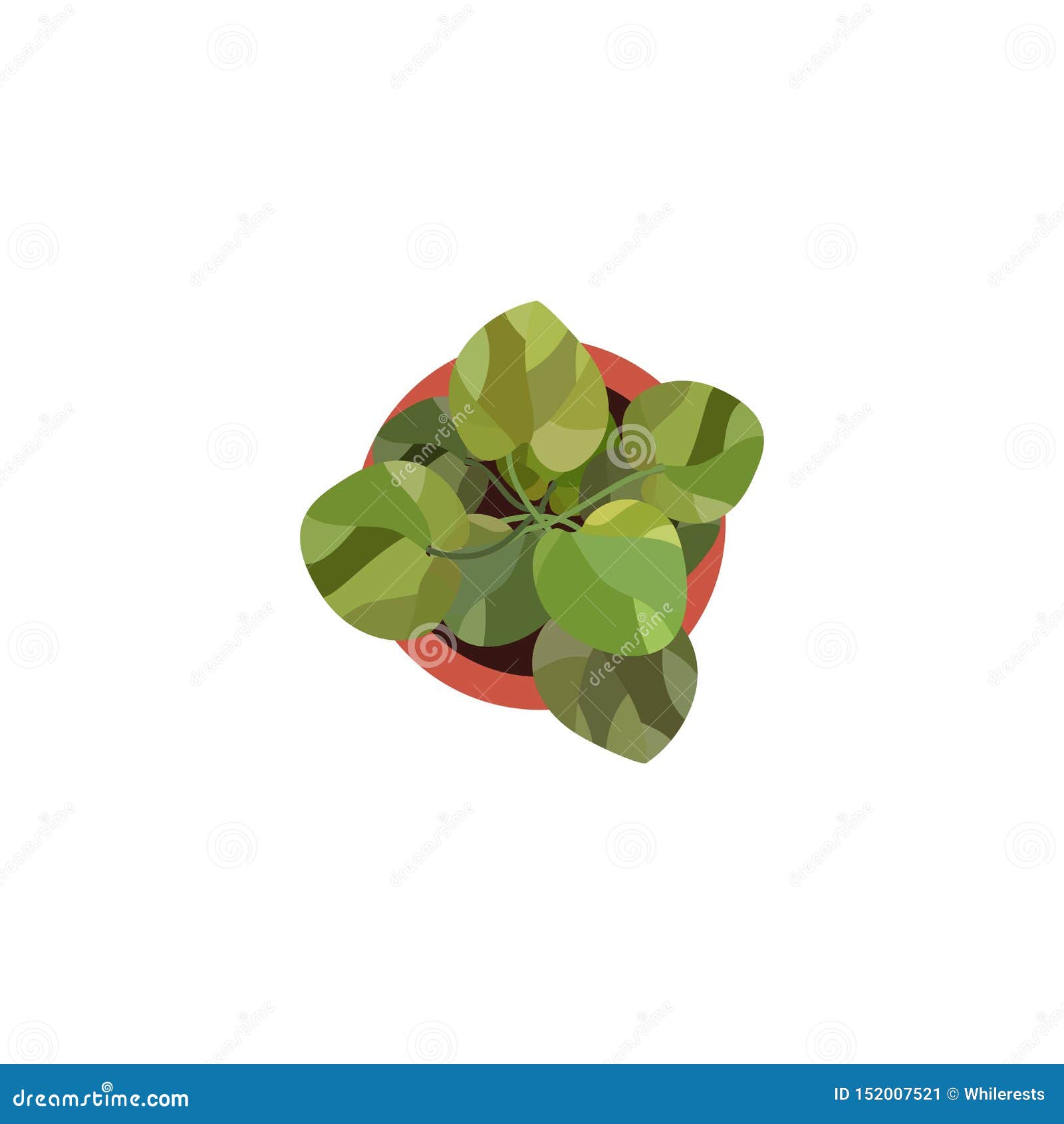 Top View. Green Plants Easy Copy Paste in Your Landscape Design ...