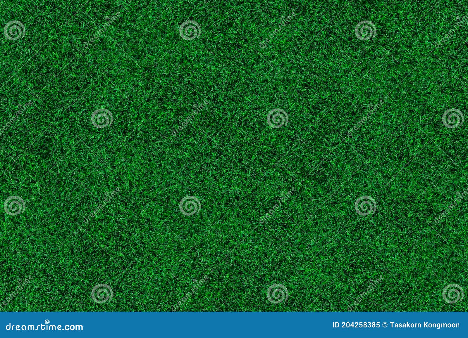 Top View of Green Turf Texture for Pattern and Background Stock Image ...