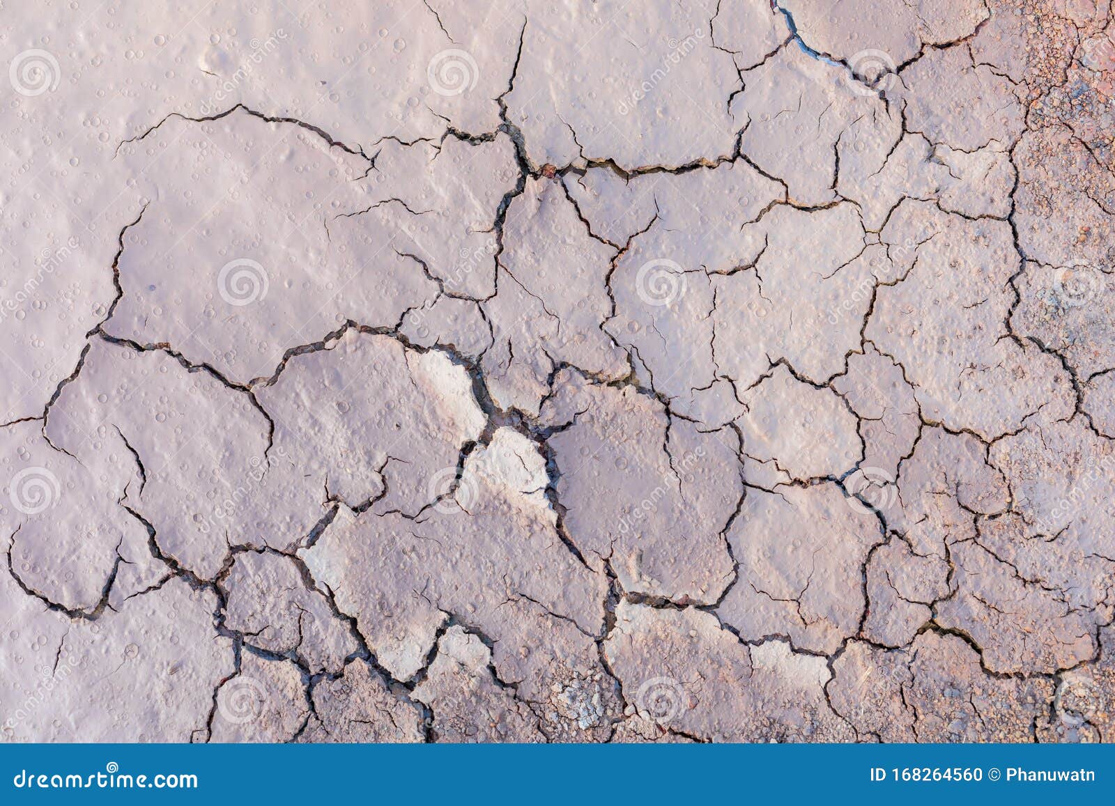 Grey Dry Soil or Mud Texture for Background Stock Photo - Image of ...