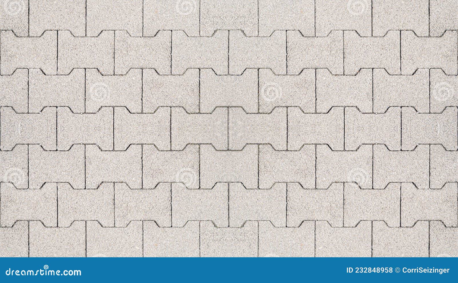 Top View of Grey Gray Concrete Bone Stones / Paving Stones / Double ...