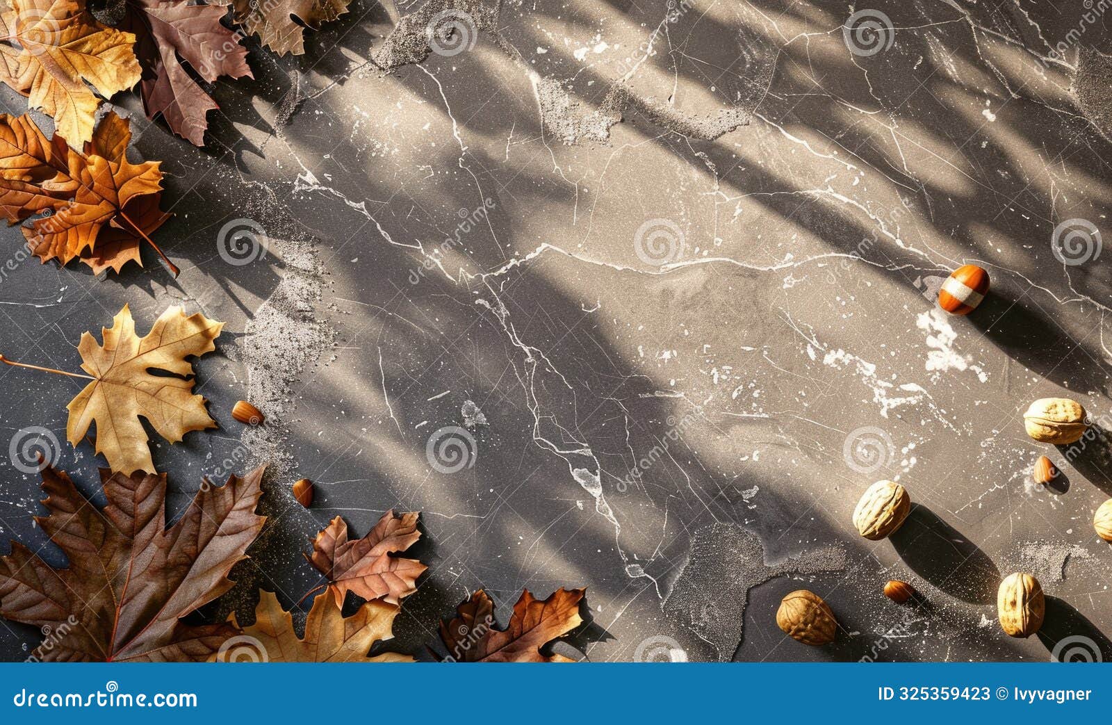 Top View of a Grey Marble Countertop, Frame of Autumn Leaves and Nuts ...
