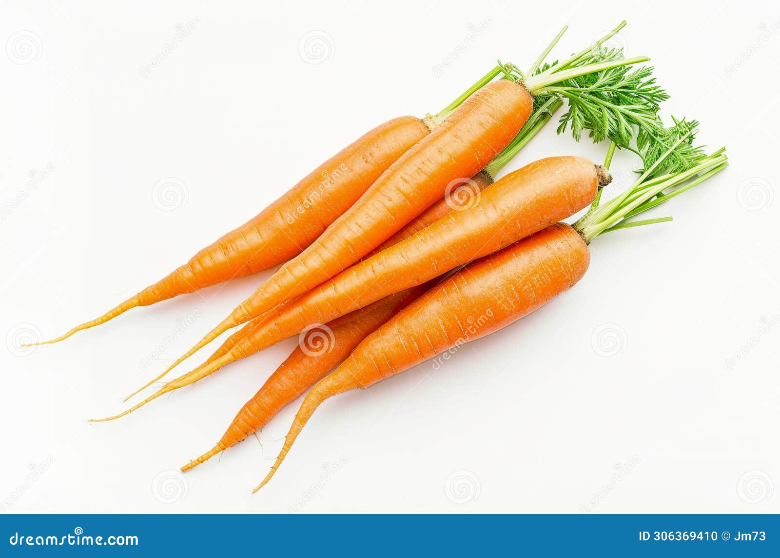 Carrots Group Symbol Logo Vector | CartoonDealer.com #197737137