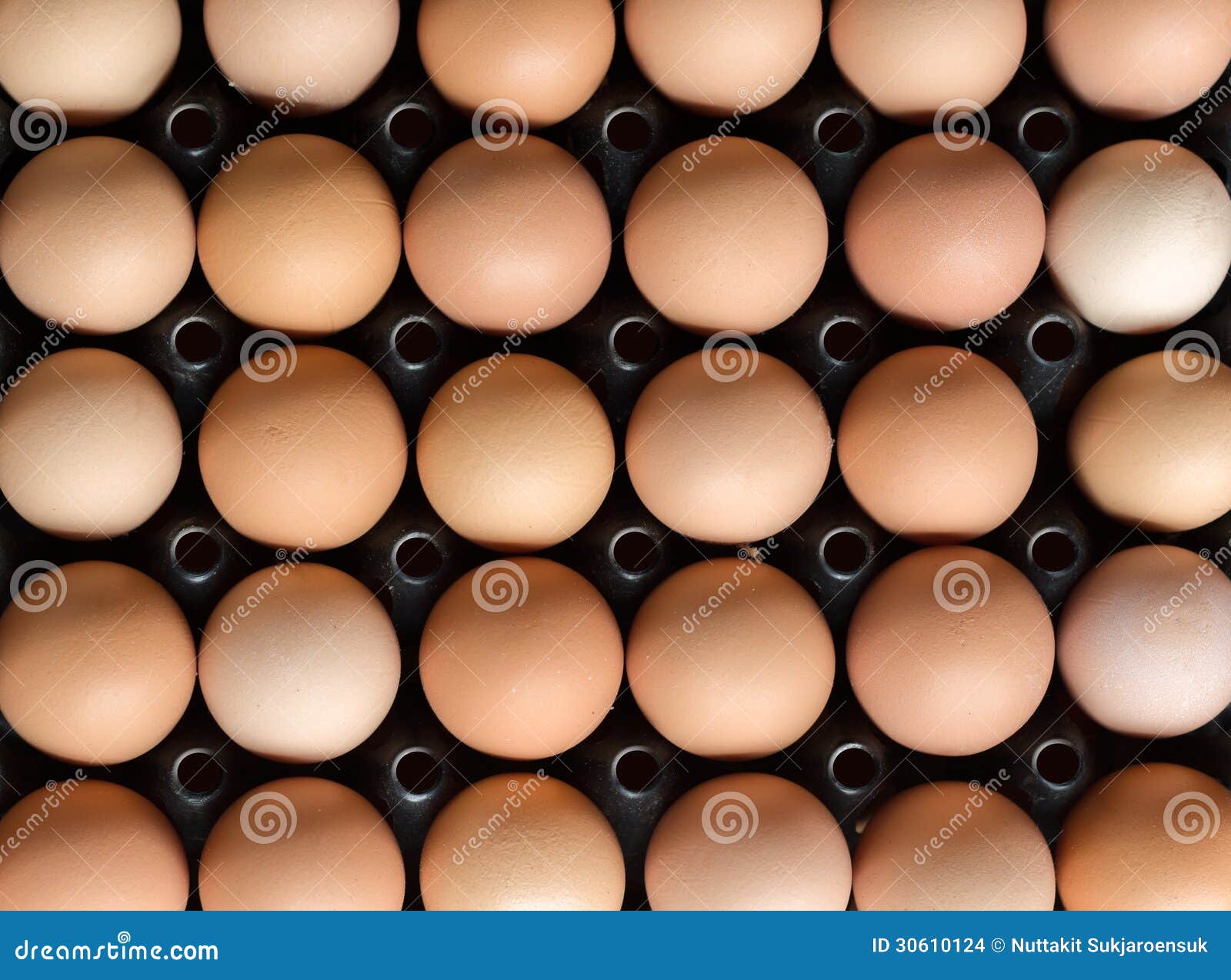 Top View Group of Egg stock photo. Image of shell, nature - 30610124