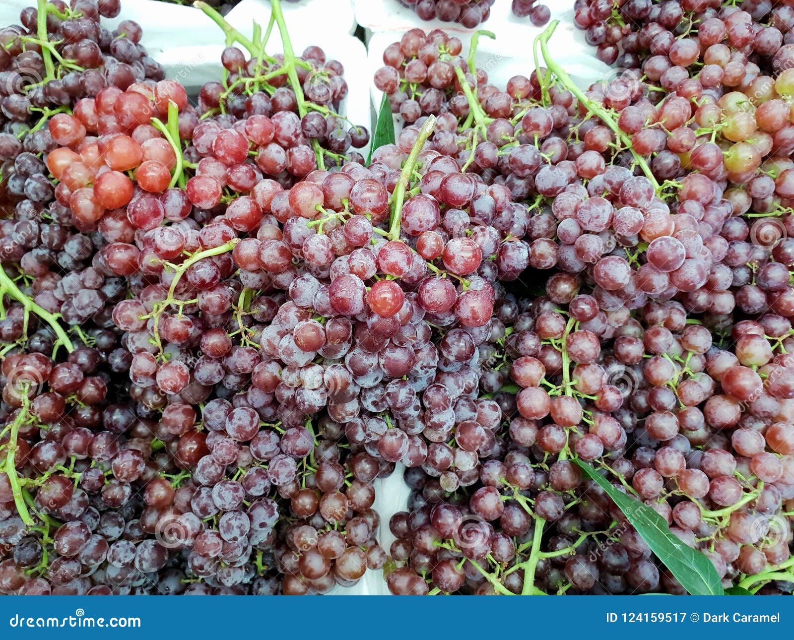Top View of Group Fresh Ripe Red Grape Isolated. Stock Image - Image of ...