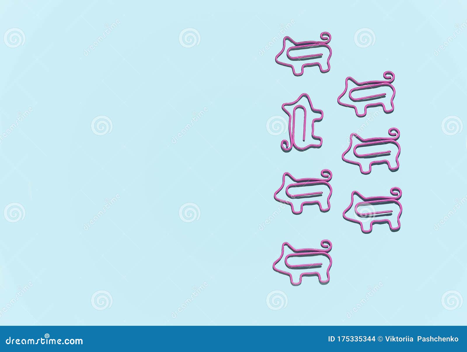Group with Pink Pigs Paper Clips in One Direction and One in Different ...