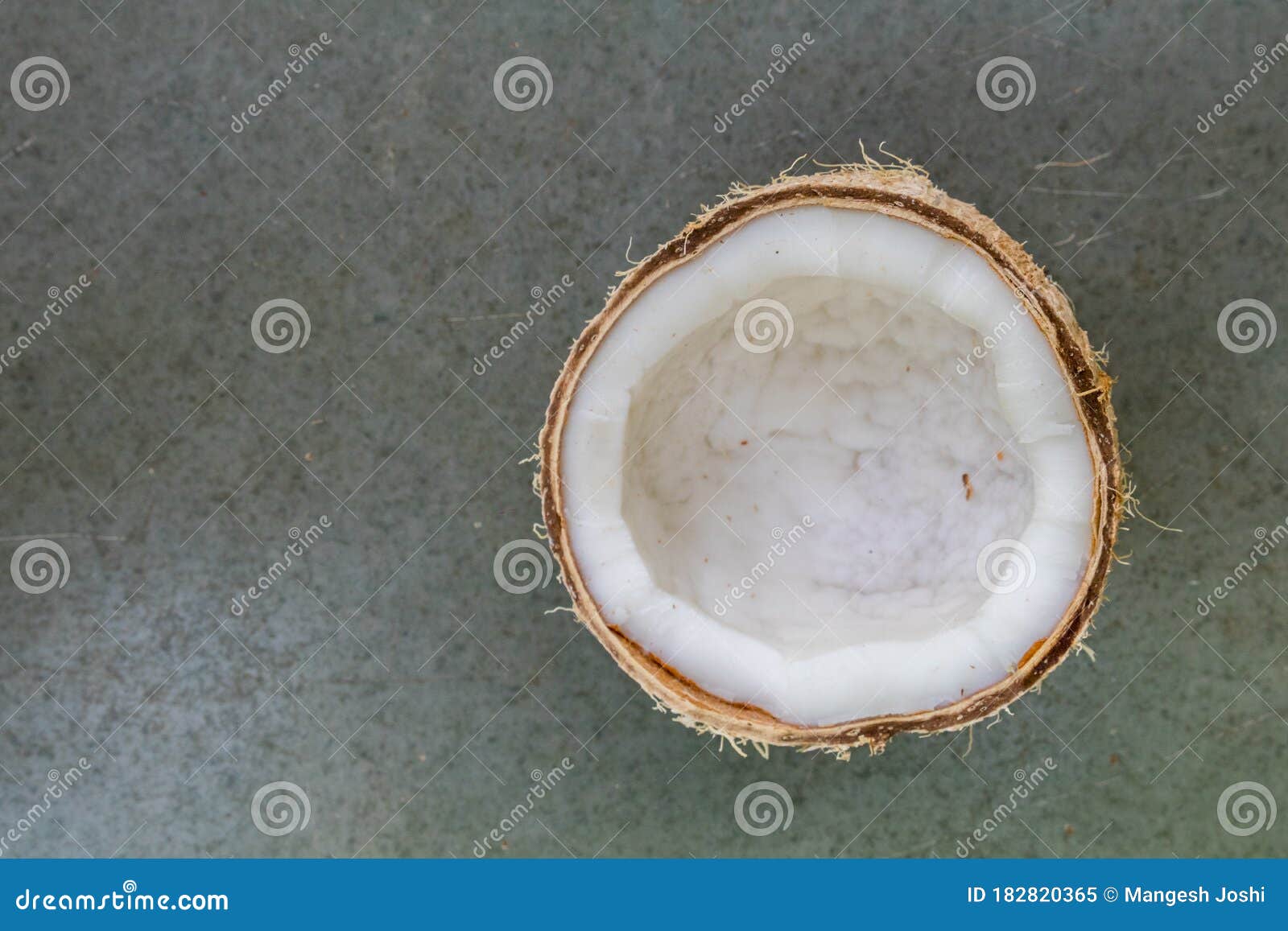 Top View of a Half Cut Coconut on Plain Background Stock Image - Image ...