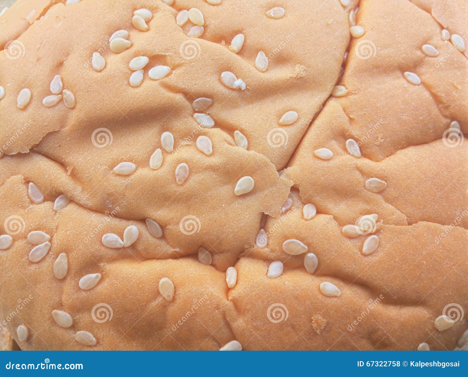 Top view of hamburger bun stock photo. Image of dumplings - 67322758