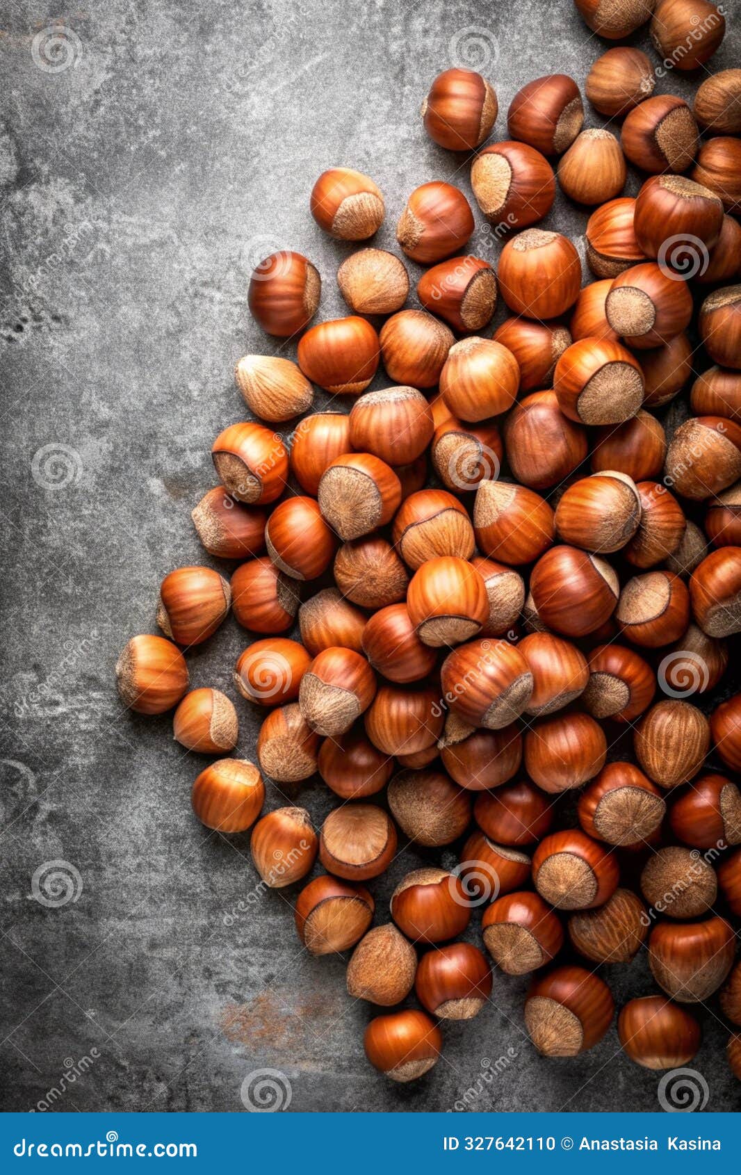Top View of Hazelnuts on a Plain Backdrop Stock Illustration ...