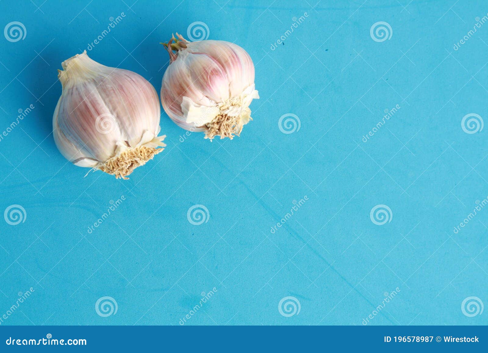 Top View of the Head of Garlic Isolated on Blue Background Stock Image ...