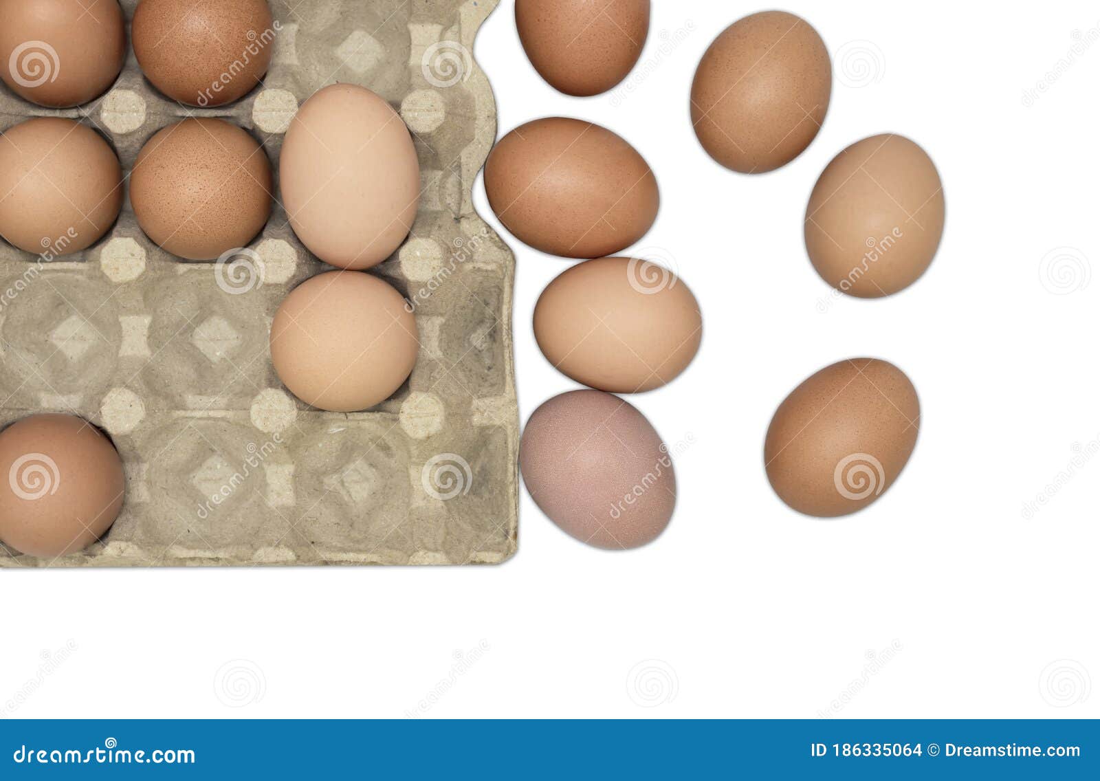 A Top View of a Hen S Eggs in a Panel on a White Background Stock Photo ...