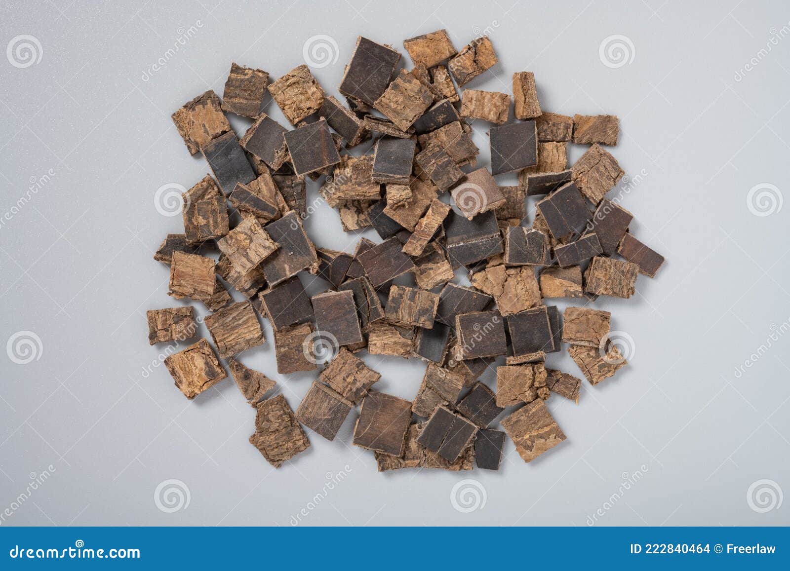 Herb DuZhong or Eucommiae Cortex or Eucommia Bark Stock Photo - Image ...