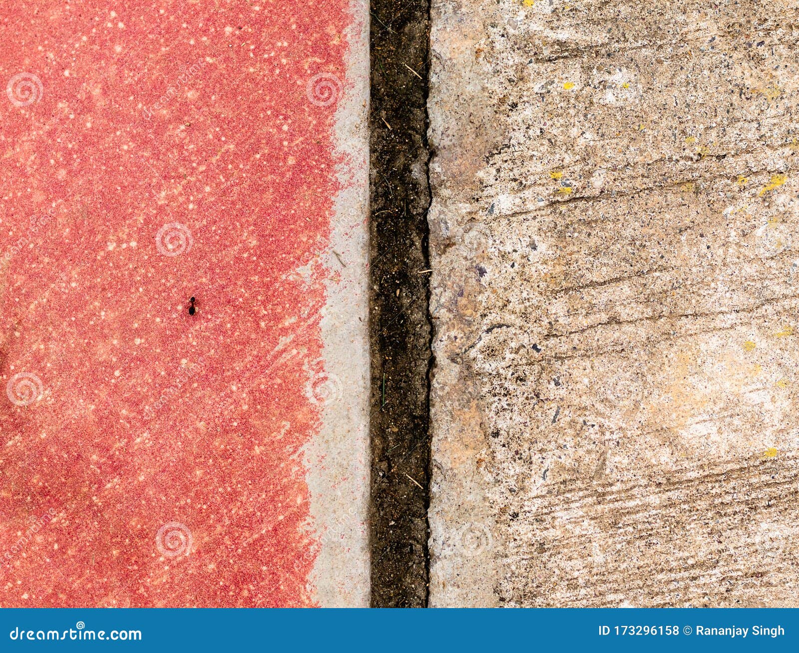 Top View of High Contrast Rectangular Pavement with an Ant on it Stock ...