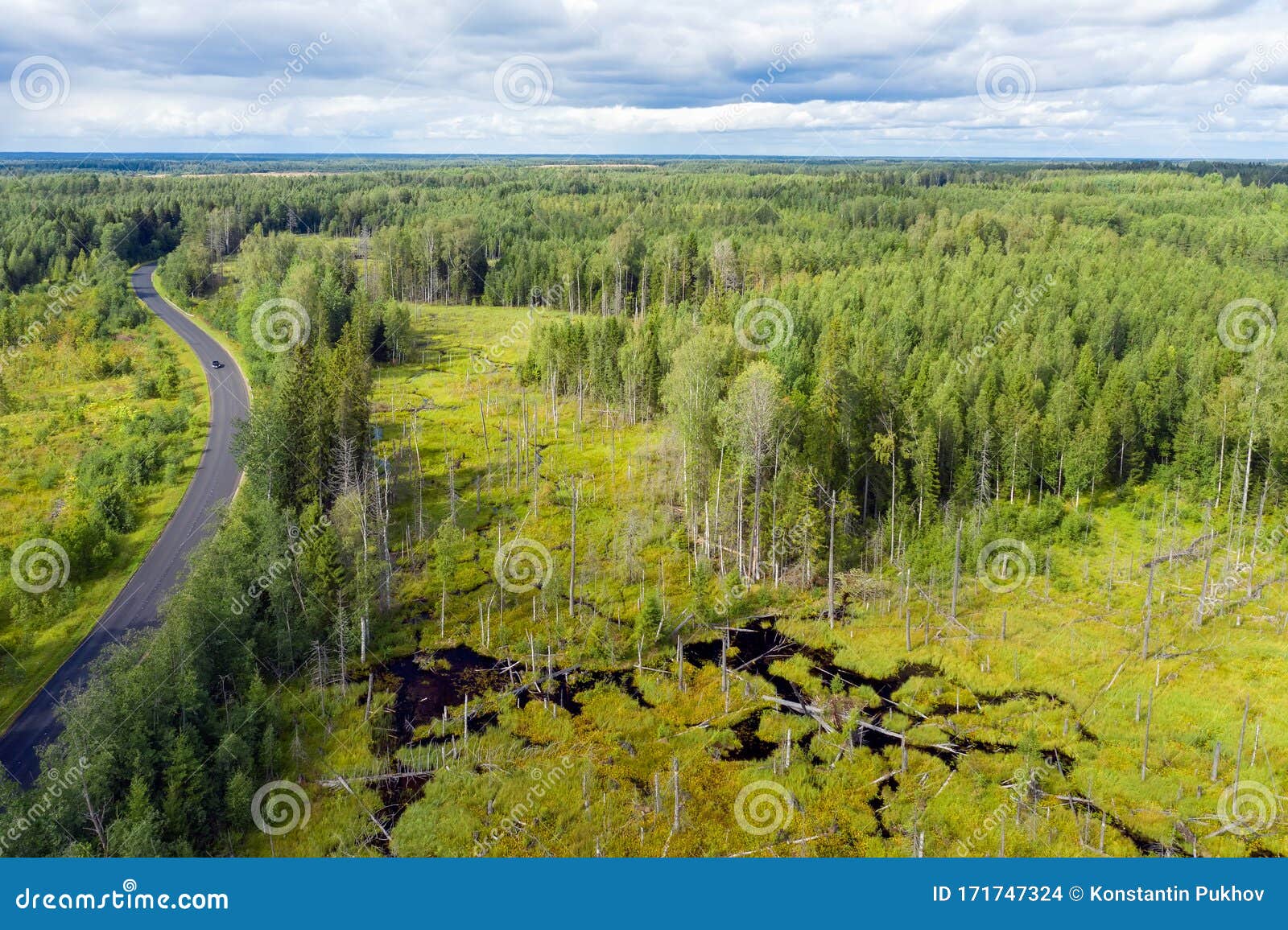 Top View of a Highway Along the Swamp Stock Photo - Image of landscape ...