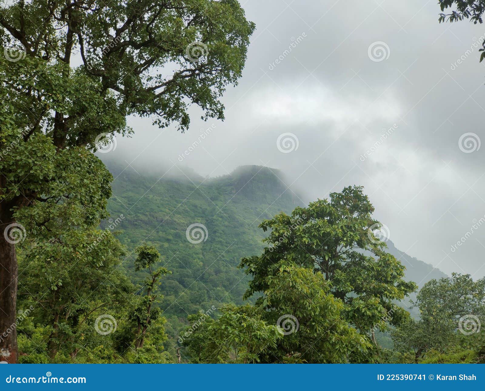 Top View from Hill in Rainy Season Stock Image - Image of flower, green ...