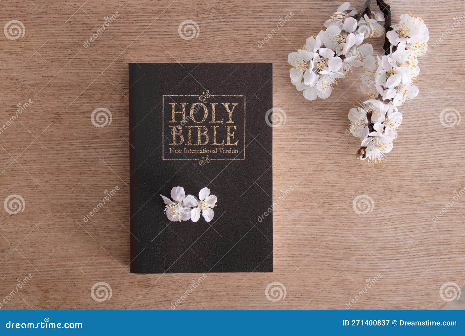 Top View Holy Bible on a Table with Spring Flowers. Bible Study Spring ...