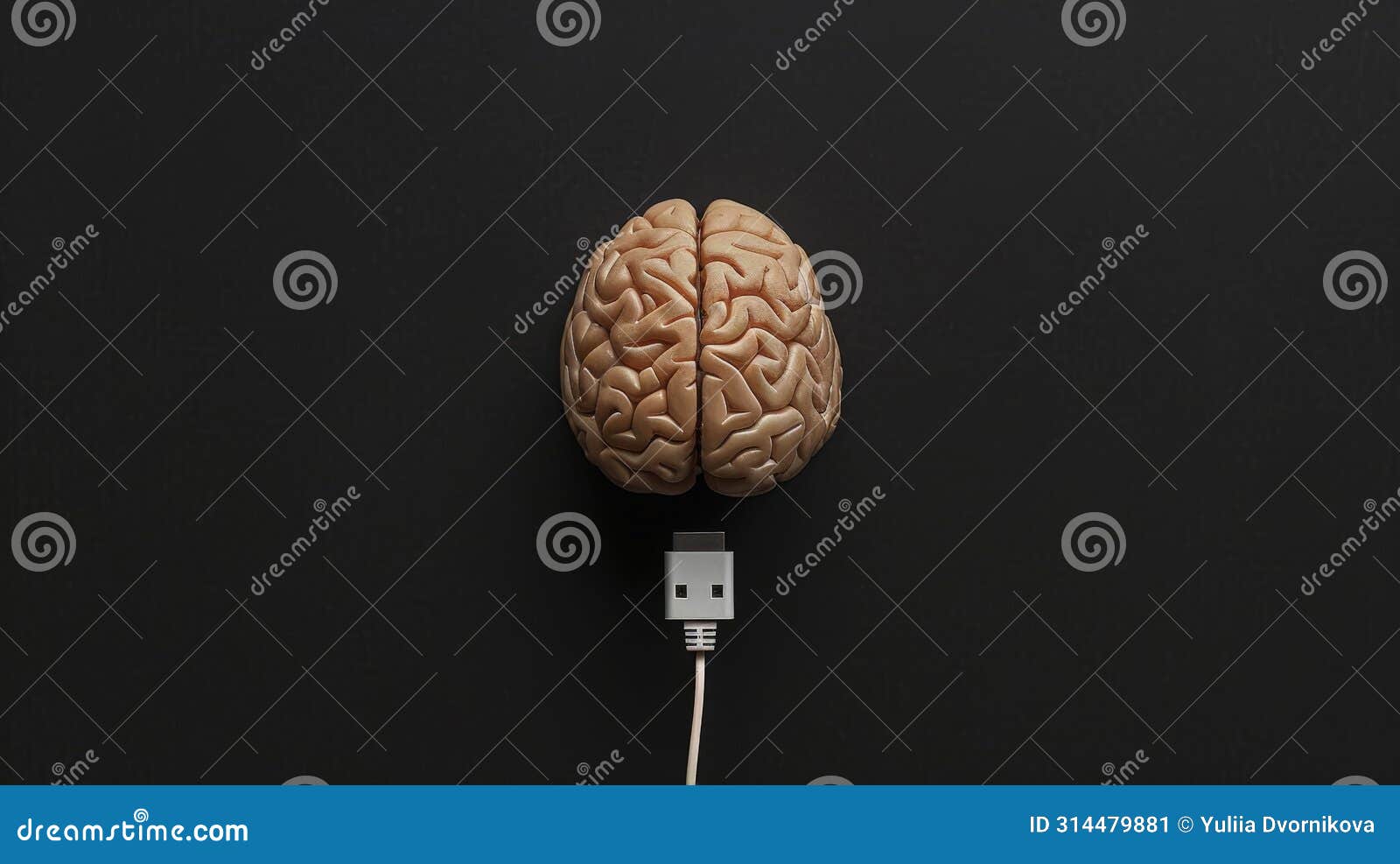 Top View of Human Brain Model with USB Cable, on Black Background. Turn ...