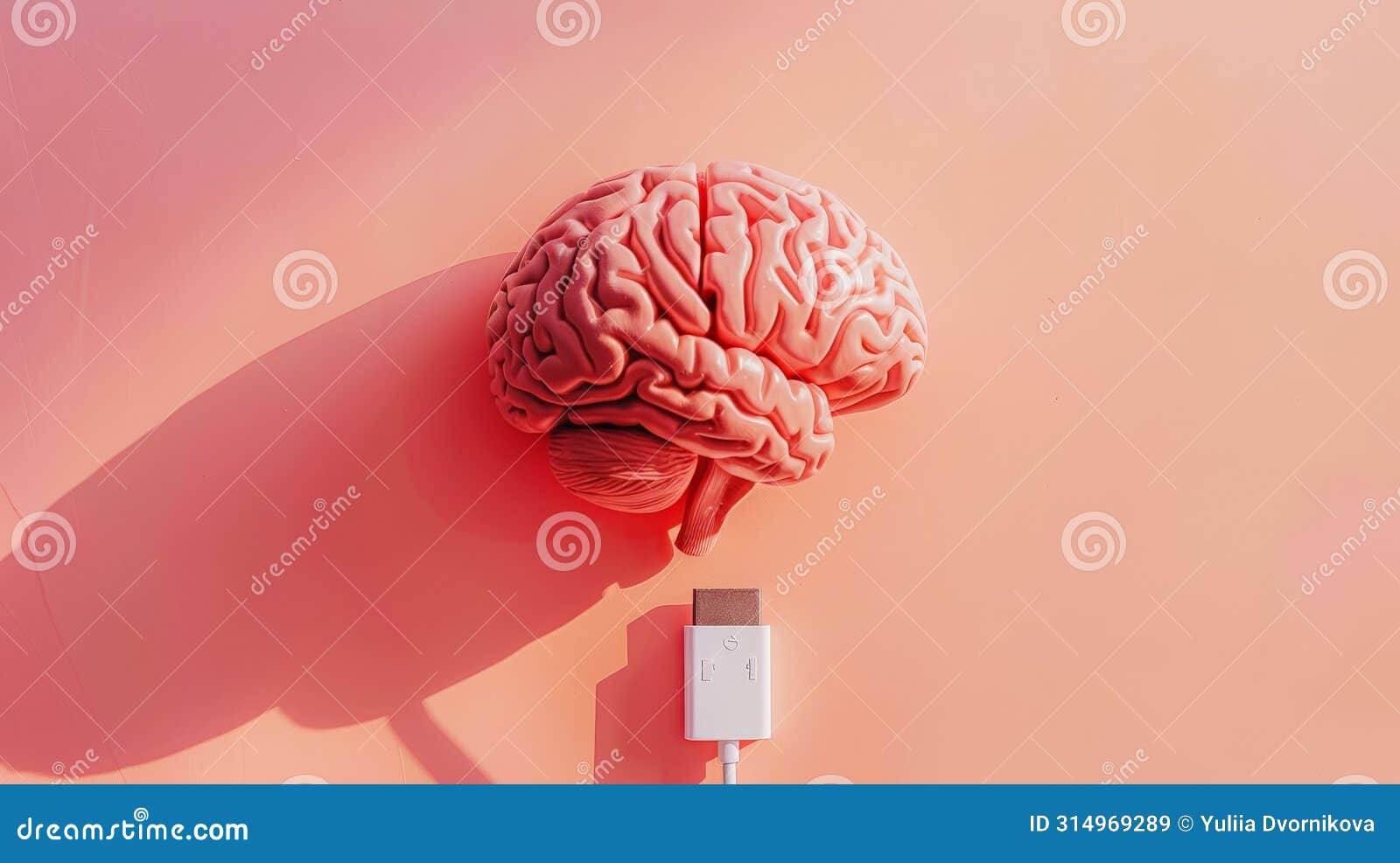 Top View of Human Brain Model with USB Cable, on Pink Background. Turn ...