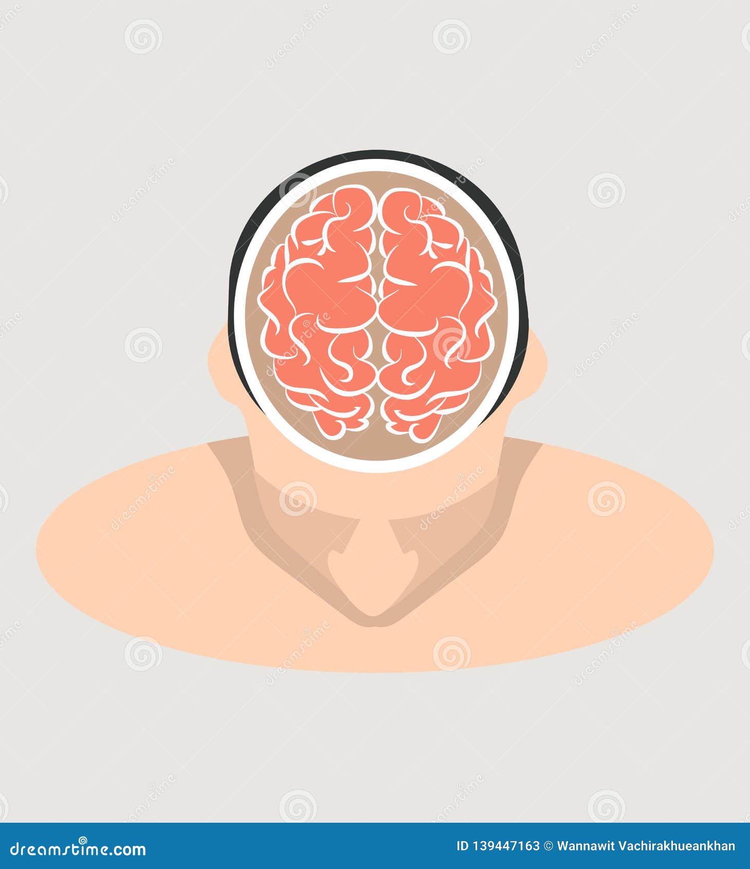 Top View Human Brain Vector Stock Vector - Illustration of inspiration ...