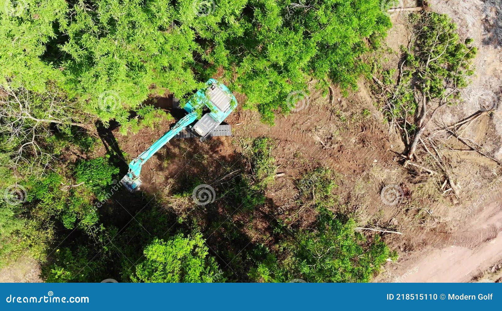 The Top View of Human Deforestation Stock Footage - Video of aerial ...