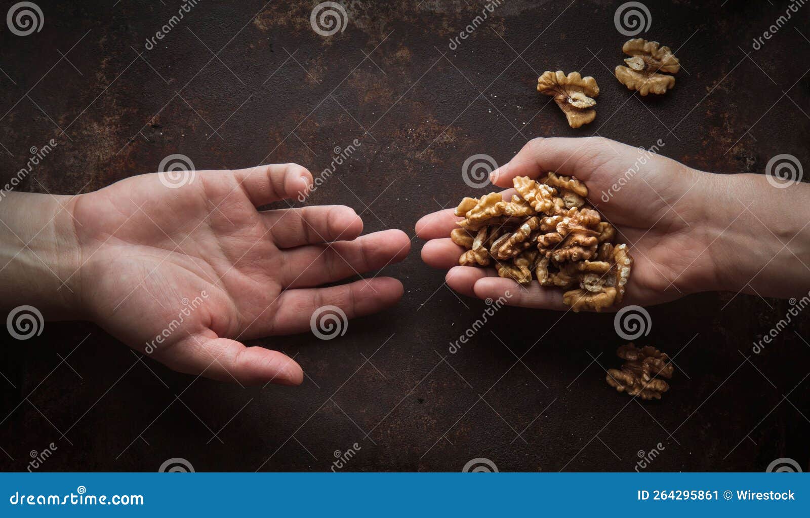 Top View of Human Hands Sharing Nuts on Rusty Surface Stock Image ...