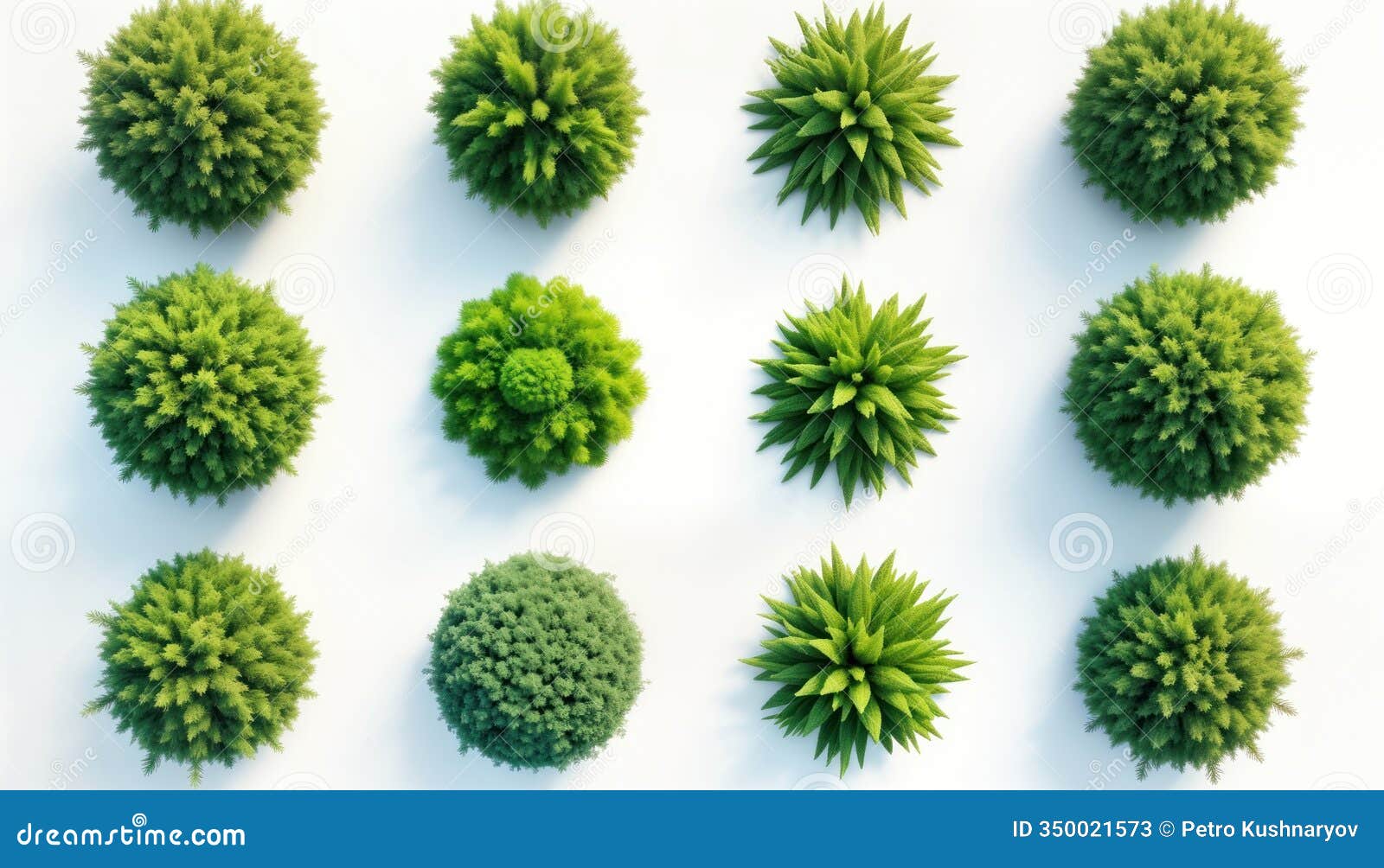 Top View Illustration Shows Various Types of Greenery for Landscape ...