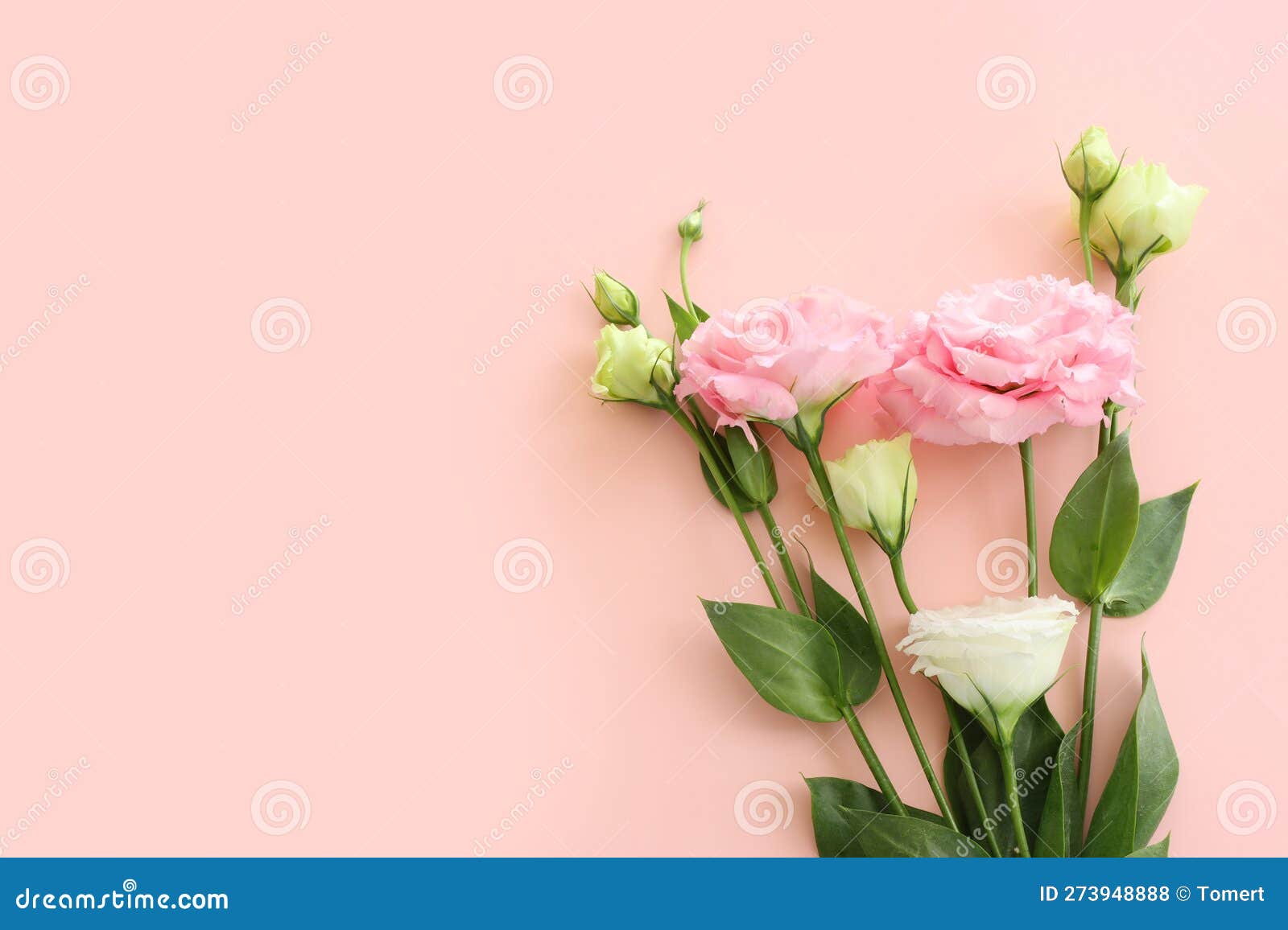 Top View Image of Delicate Pink Flowers Over Pastel Background Stock ...