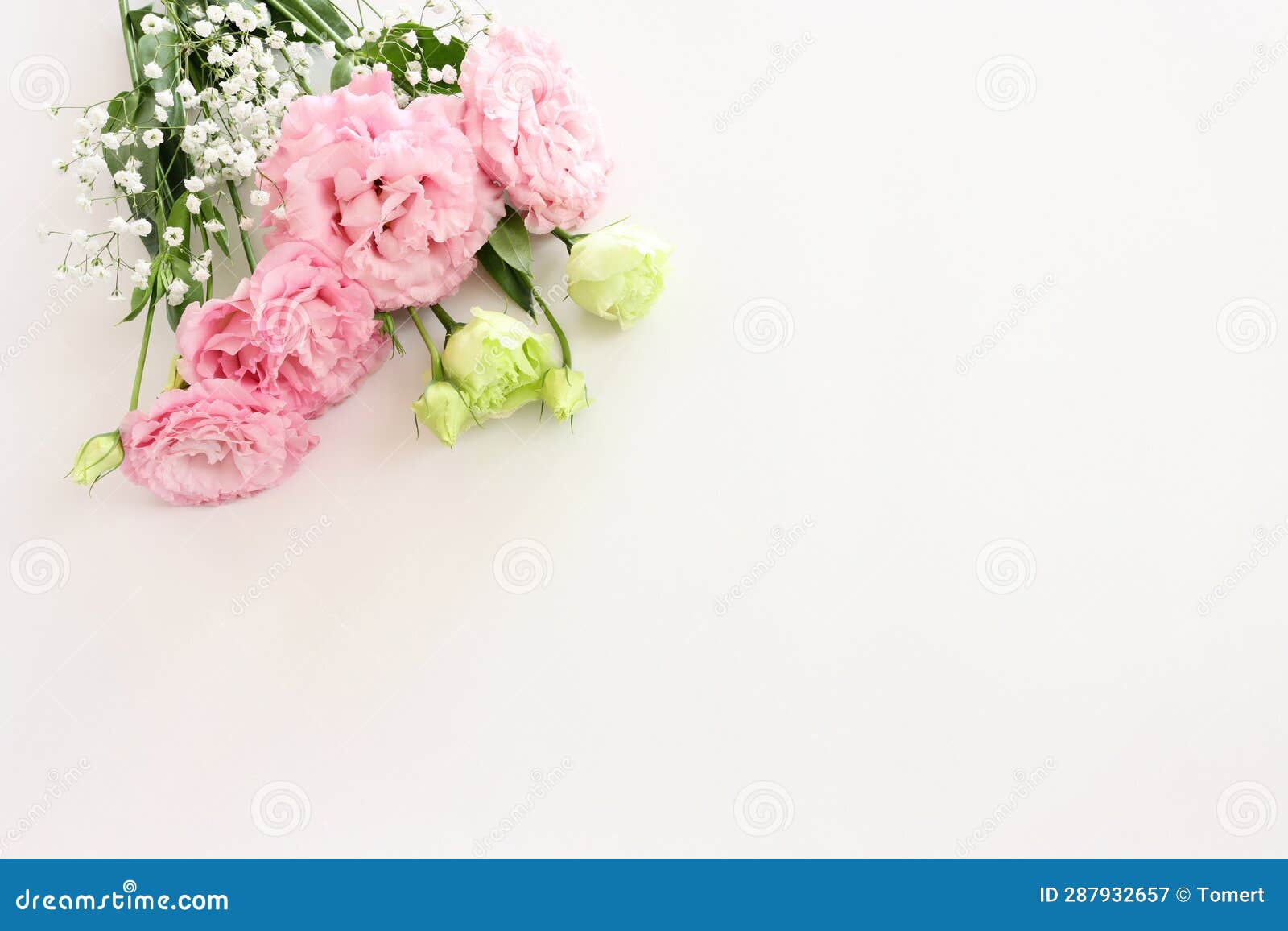 Top View Image of Delicate Pink Flowers Over White Background Stock ...