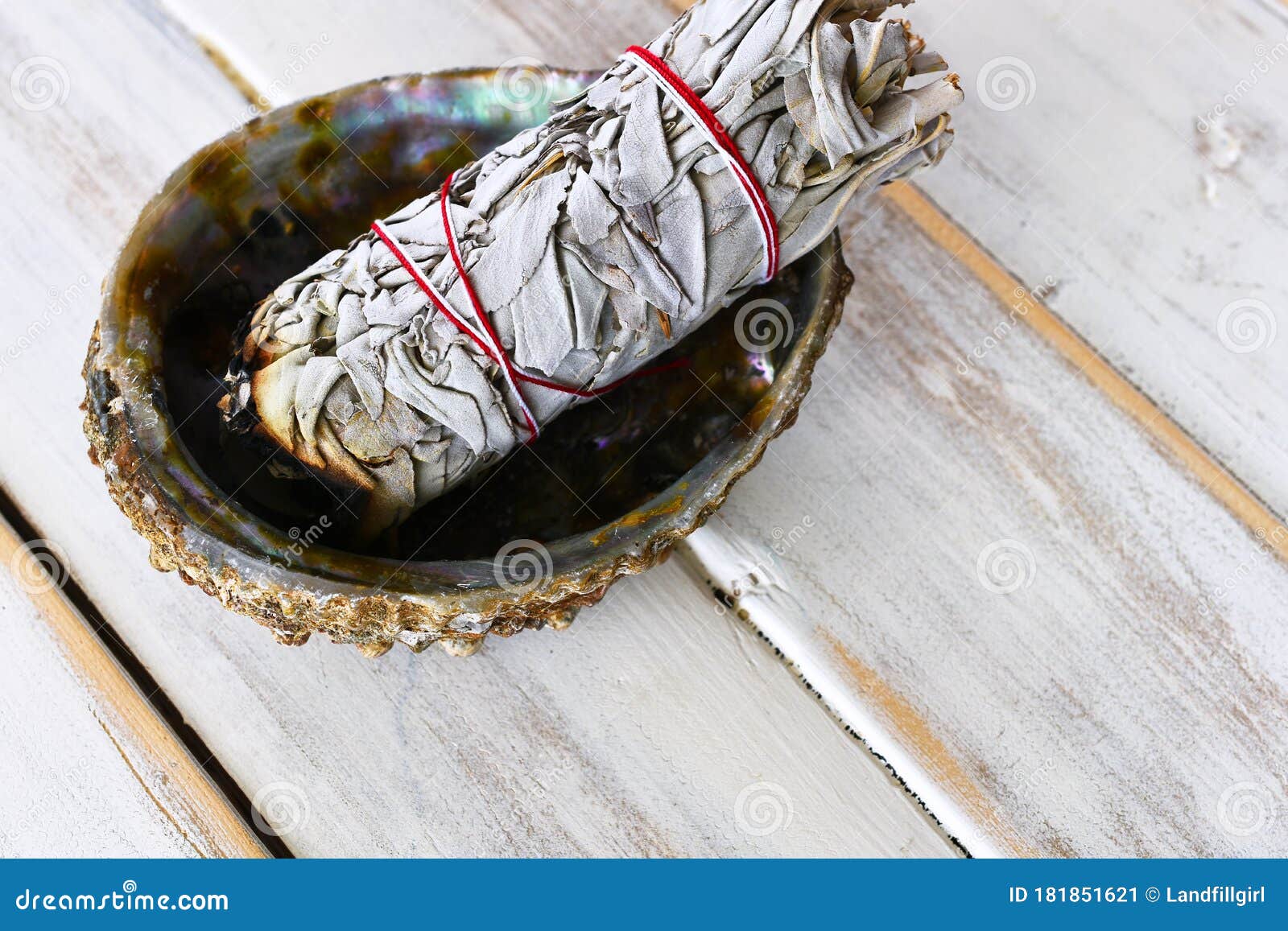 White Sage and Abalone Shell Stock Image - Image of leaves, american ...