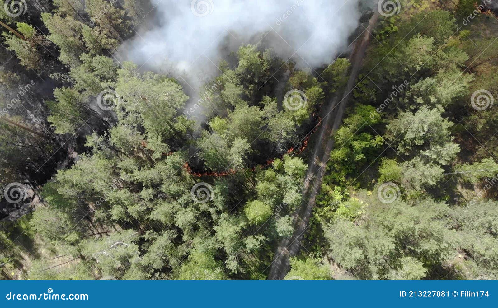 Top View of an Invincible Forest Fire Stock Video - Video of smog ...