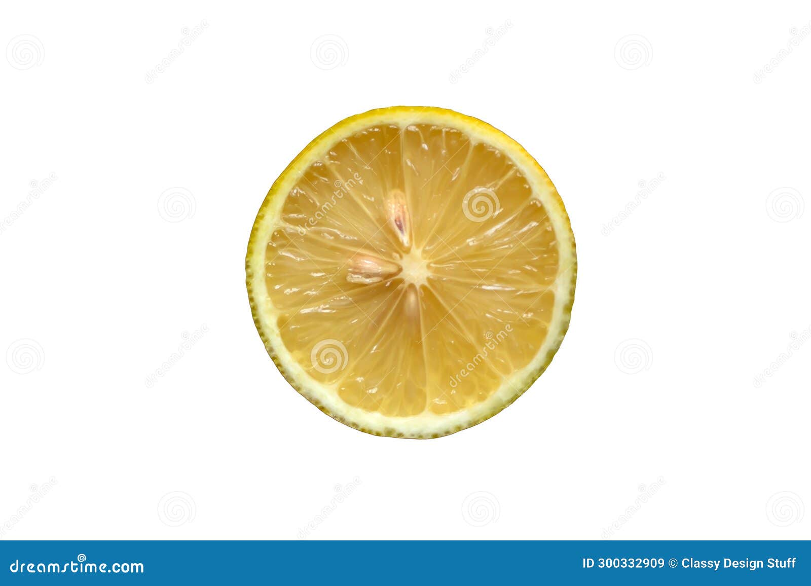 Top View of Isolated Cutted Lemon Stock Image - Image of slice, health ...