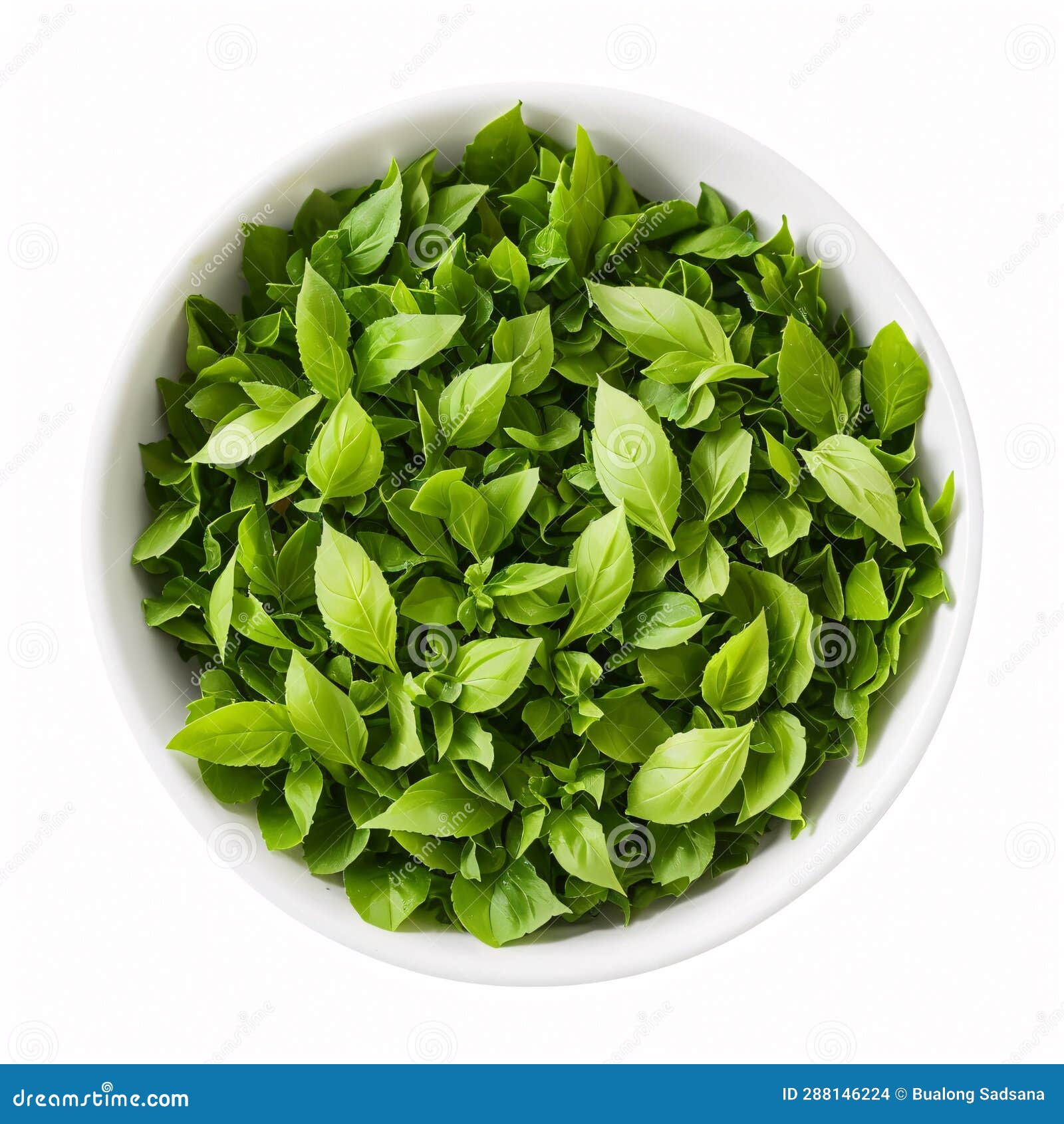 The Top View is Isolated on a White Background. Stock Illustration ...