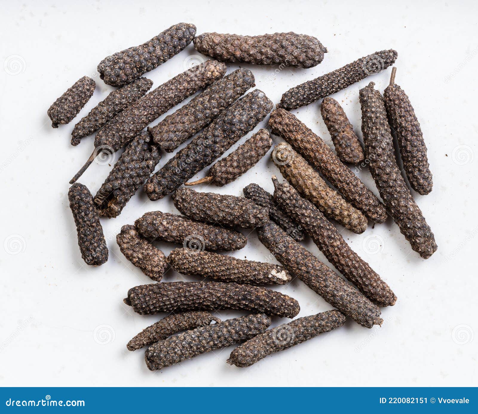 Java Long Pepper Or Dipli ,thai Hrebs Growing In The Garden At Home ...
