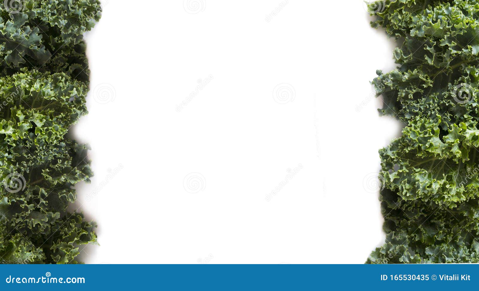 Top View. Kale Leaves On A White Background. Background Of Kale Leaves ...