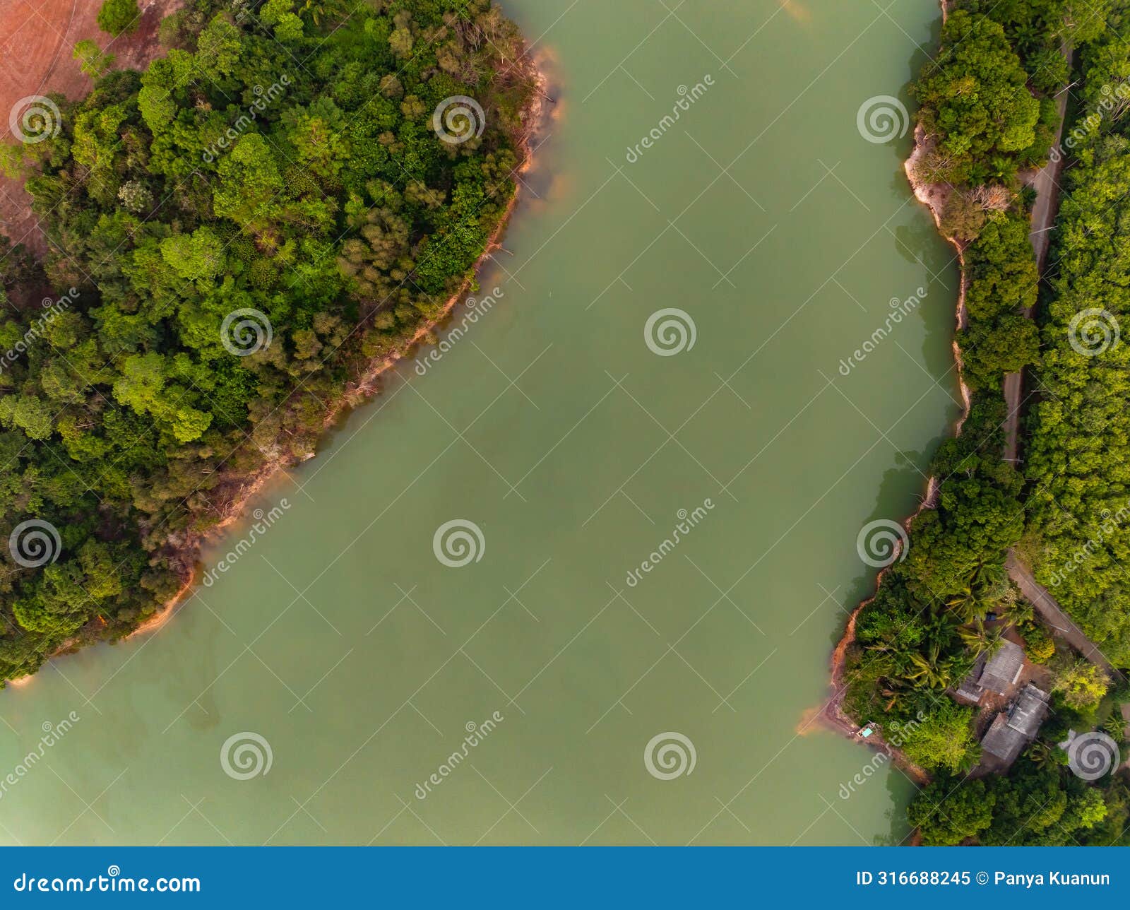 Top View Lake or Pond Nature Environment Stock Image - Image of natural ...