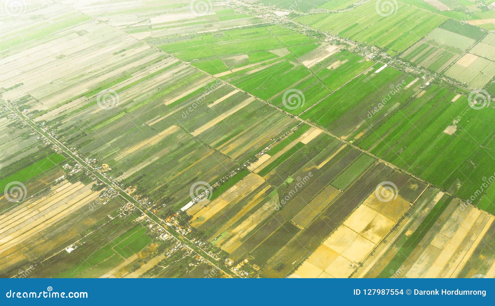 Top View Land Scape of Agriculture Stock Photo - Image of economy ...
