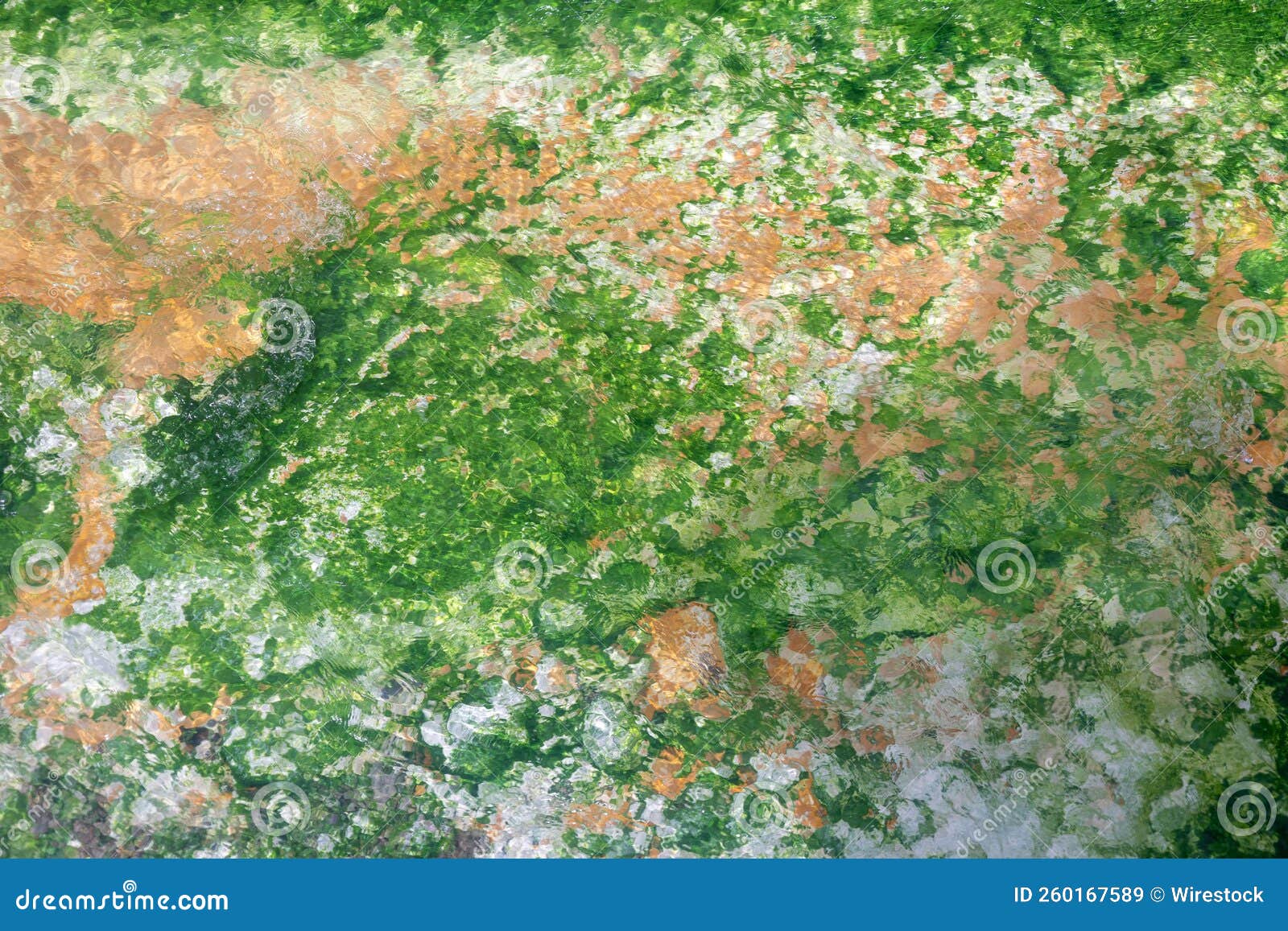 Top View of a Landscape Covered with Green Swamp Stock Image - Image of ...