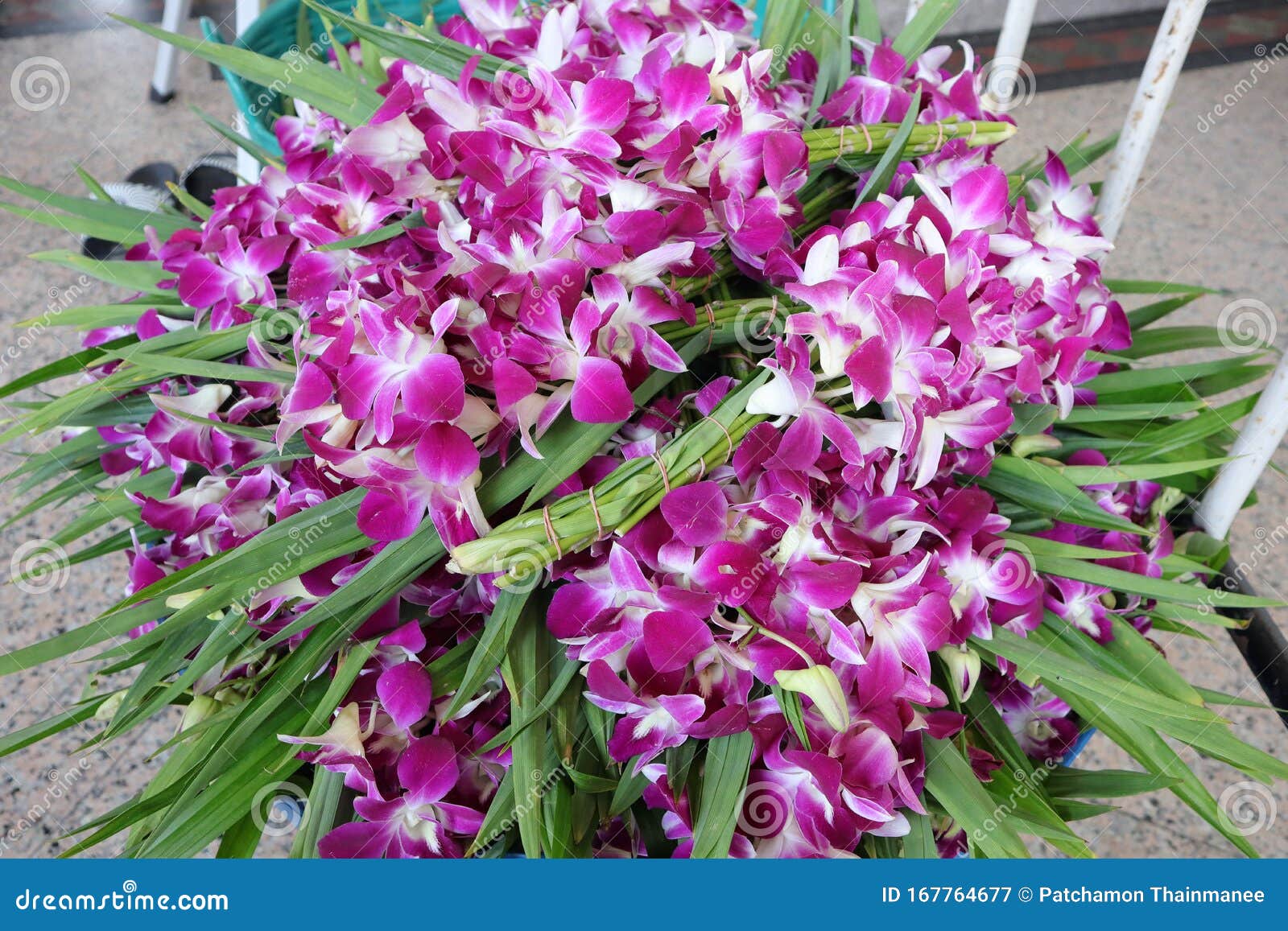 Top View, a Large Group of Beautiful Purple Orchids Stock Image - Image ...