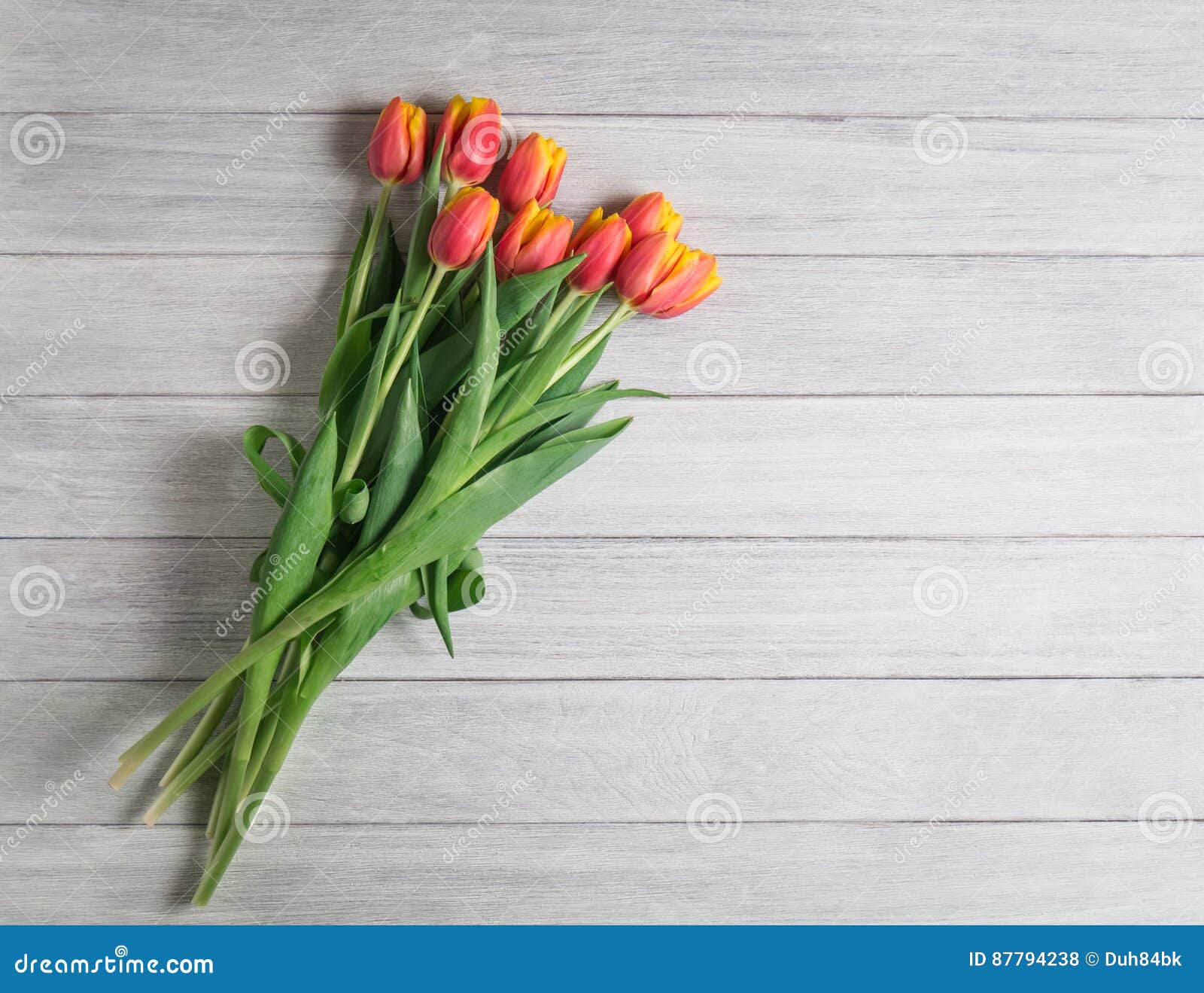 Top View of the Layout of Tulips Stock Photo - Image of blossom ...