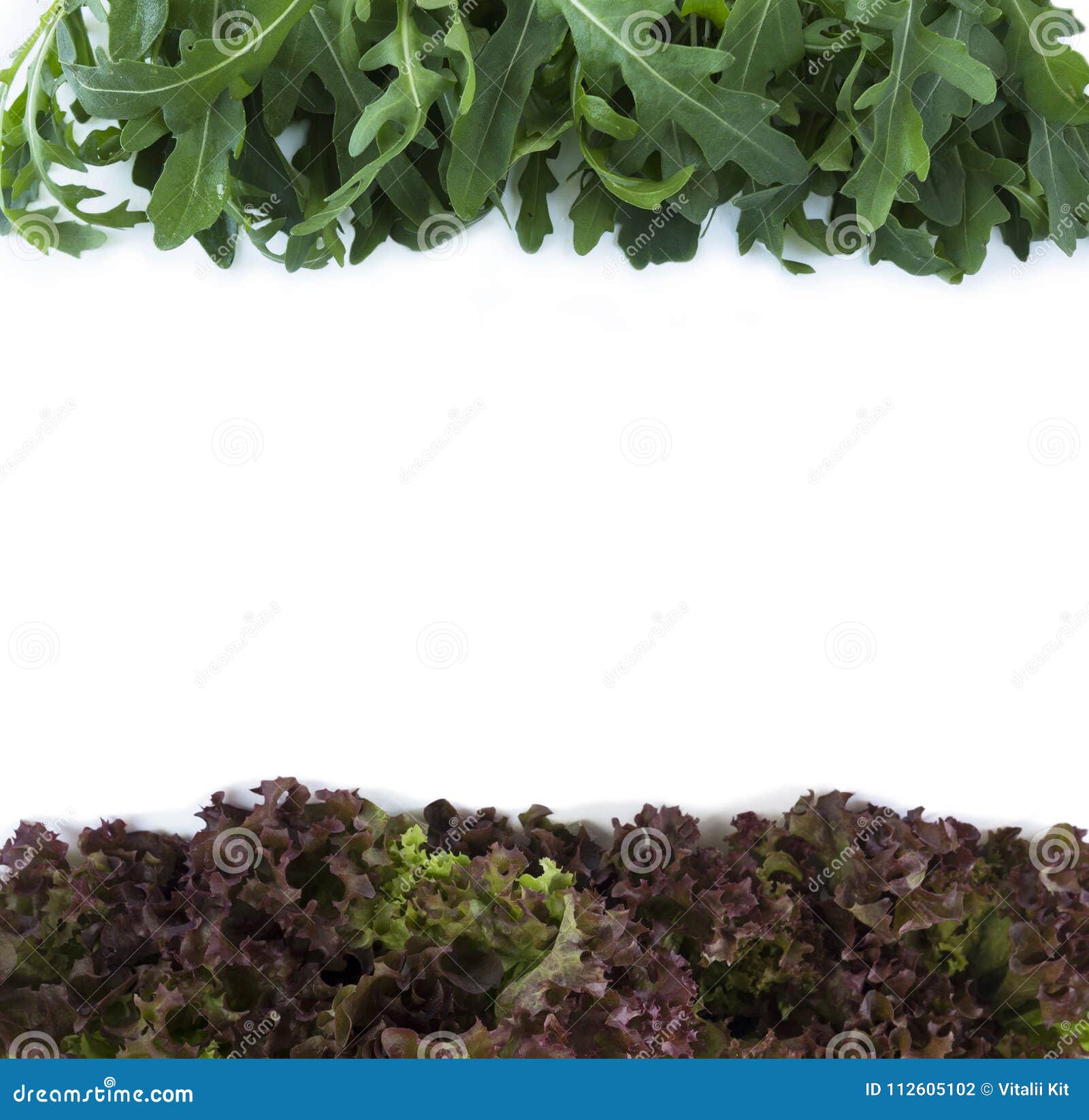 Top View. Lettuce and Arugula at Border of Image with Copy Space for ...