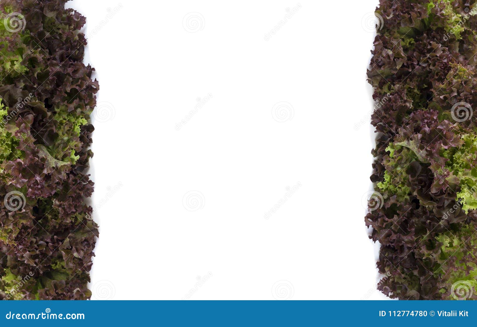 Top View. Lettuce at Border of Image with Copy Space for Text. Red ...