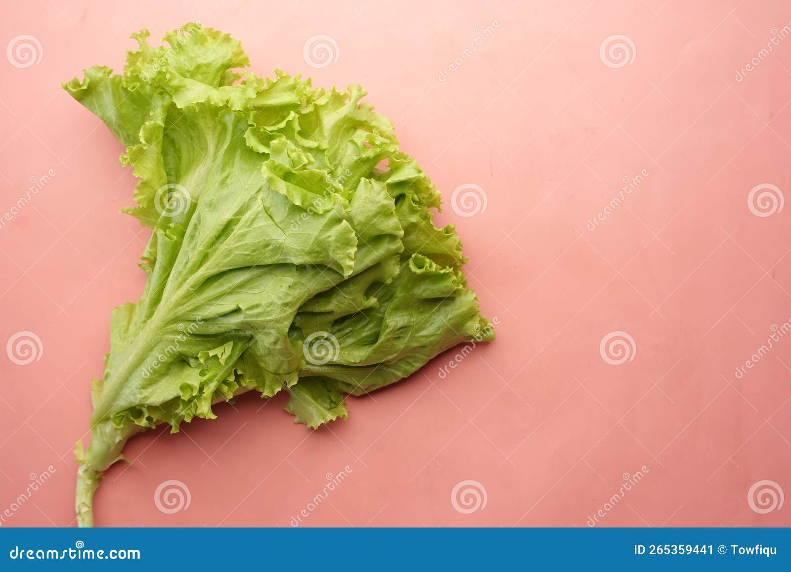 Top View of Lettus Leaf on Black Background Stock Image - Image of ...