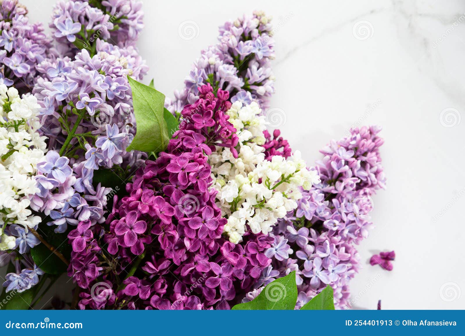 Top View of Lilac Blossom Spring Concept Flowers Overhead Stock Image ...
