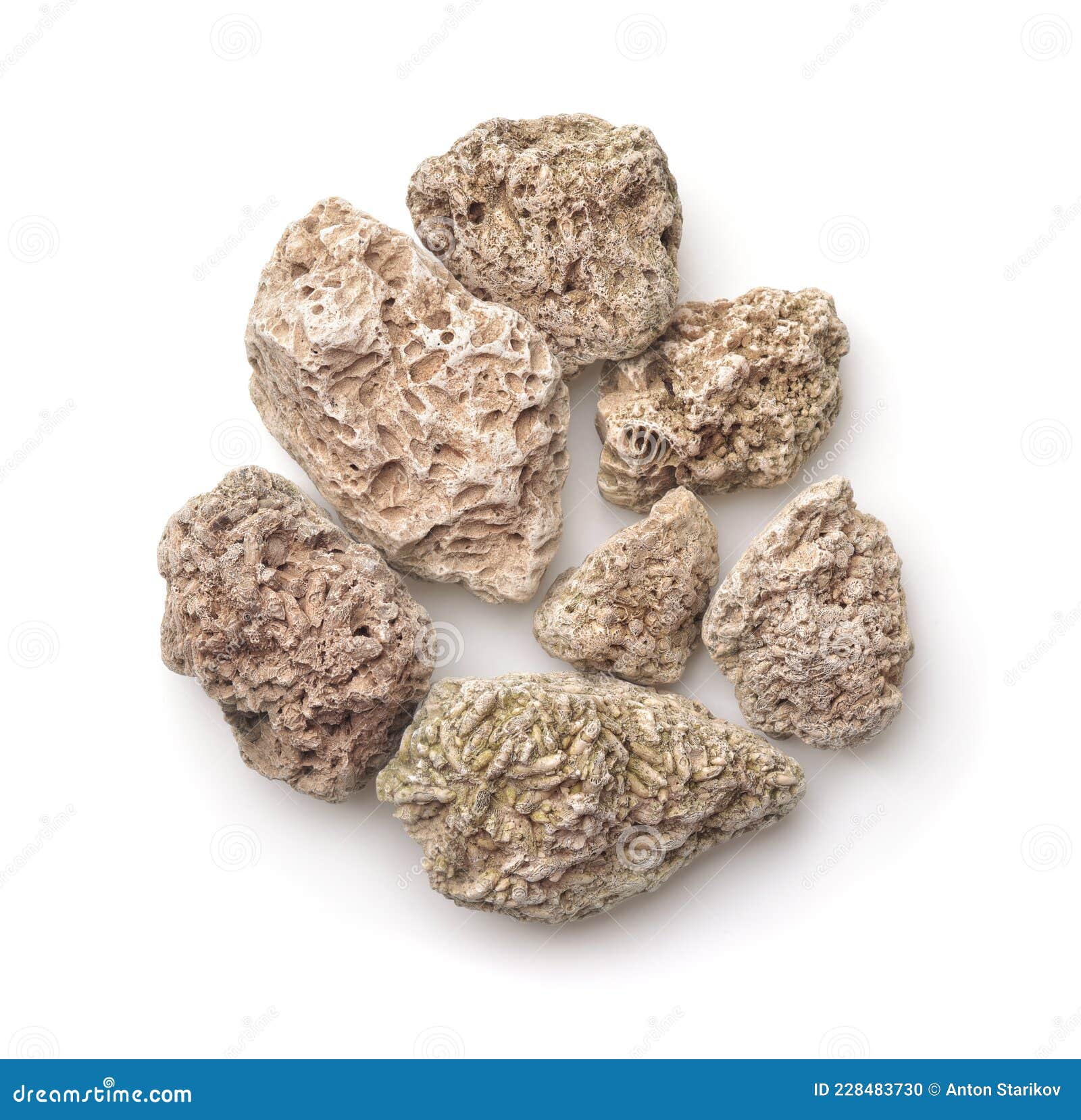 Top View of Limestones with Fossils Embedded on Surface Stock Photo ...