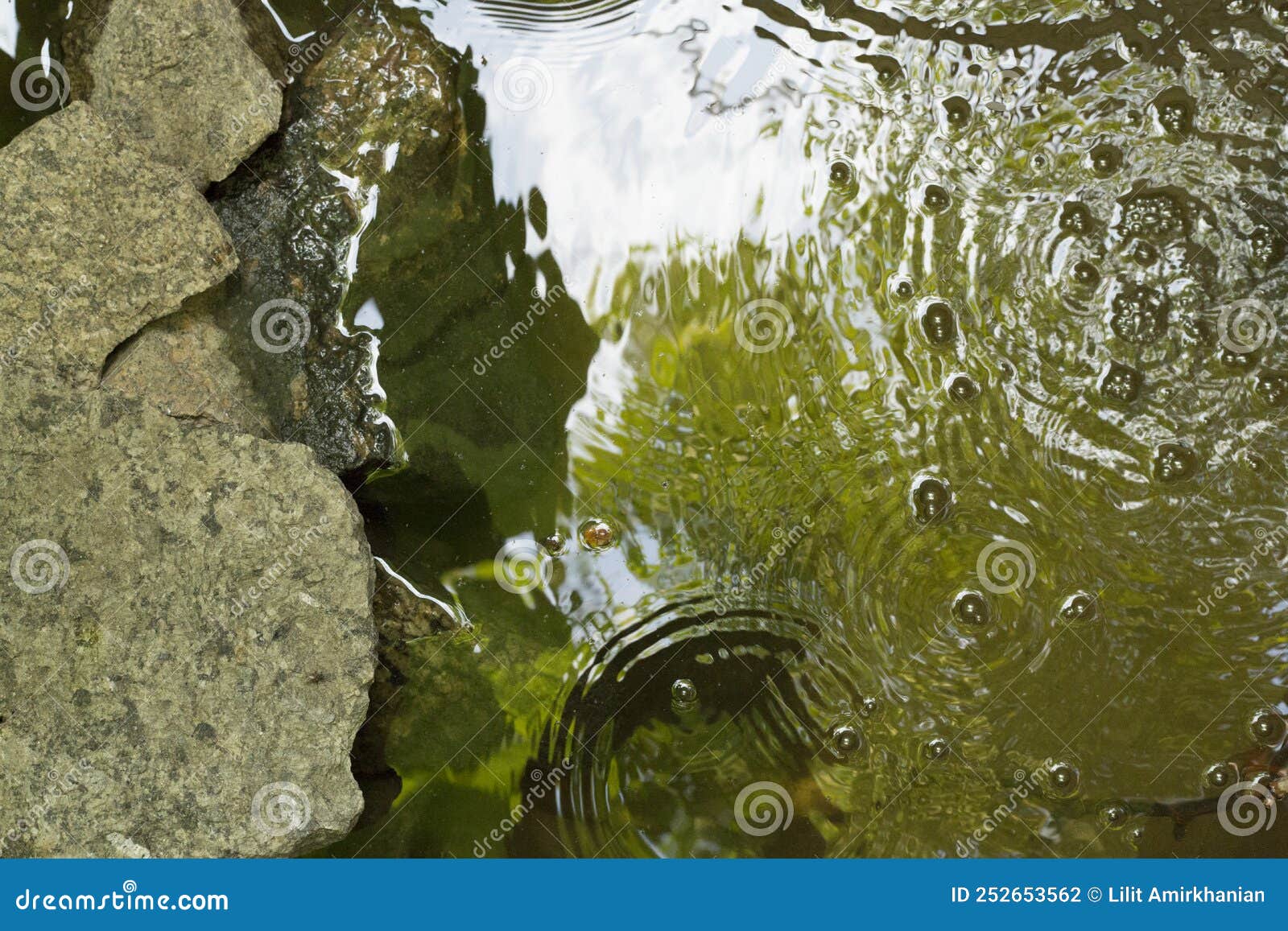 Top View of Little Pond with Circles on Water Stock Photo - Image of ...