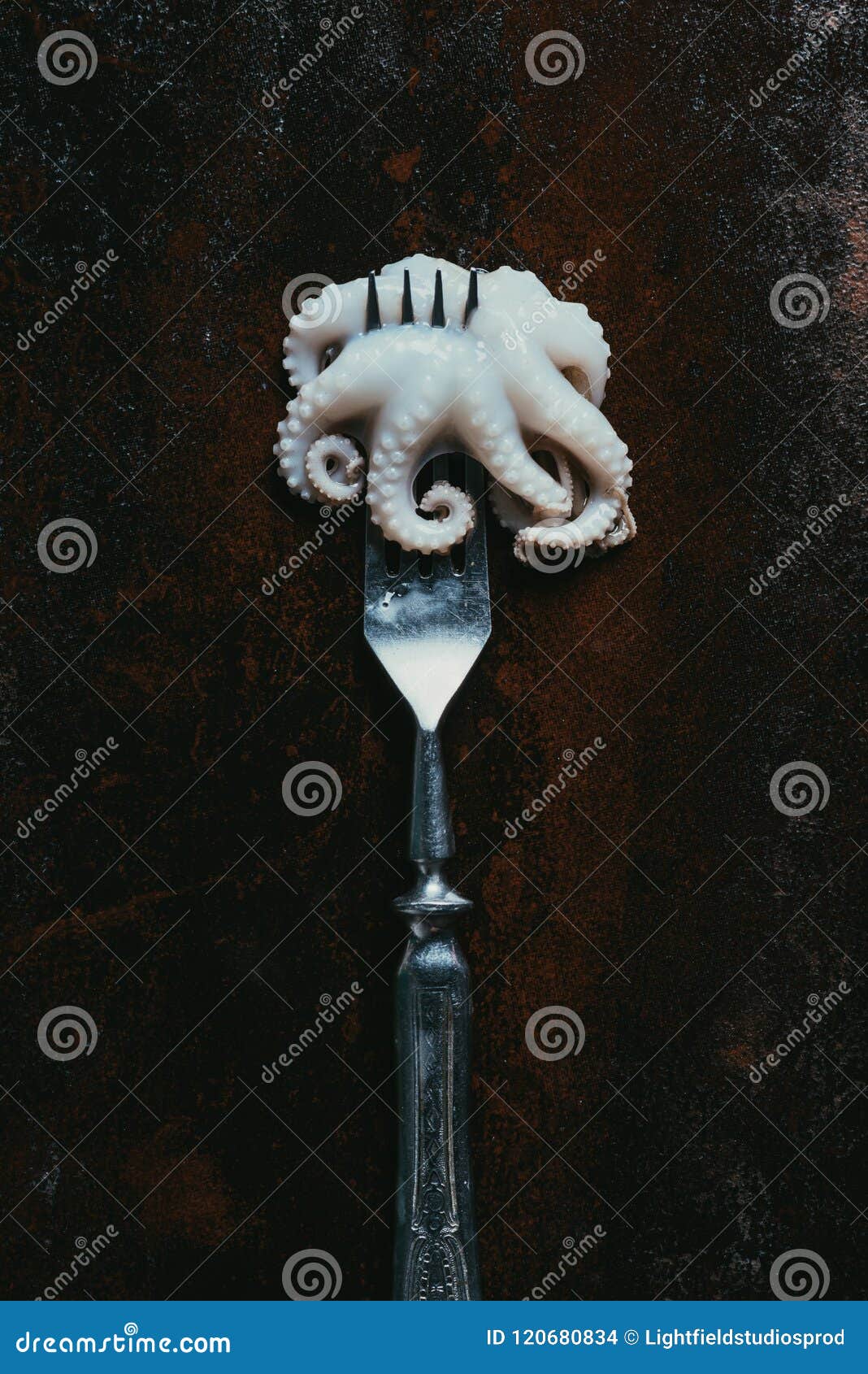 Top View of Little Raw Octopus on Fork on Rusty Stock Photo - Image of ...