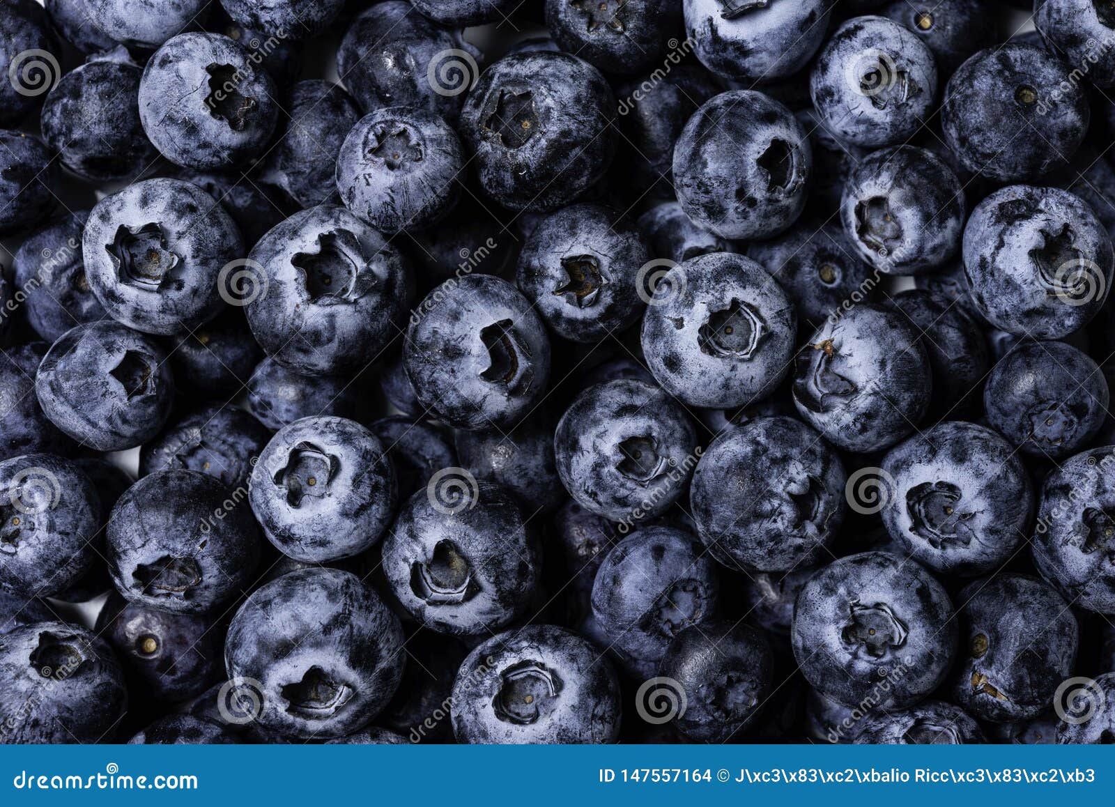 Top View of Lots of Fresh Blueberries Stock Photo - Image of blackberry ...