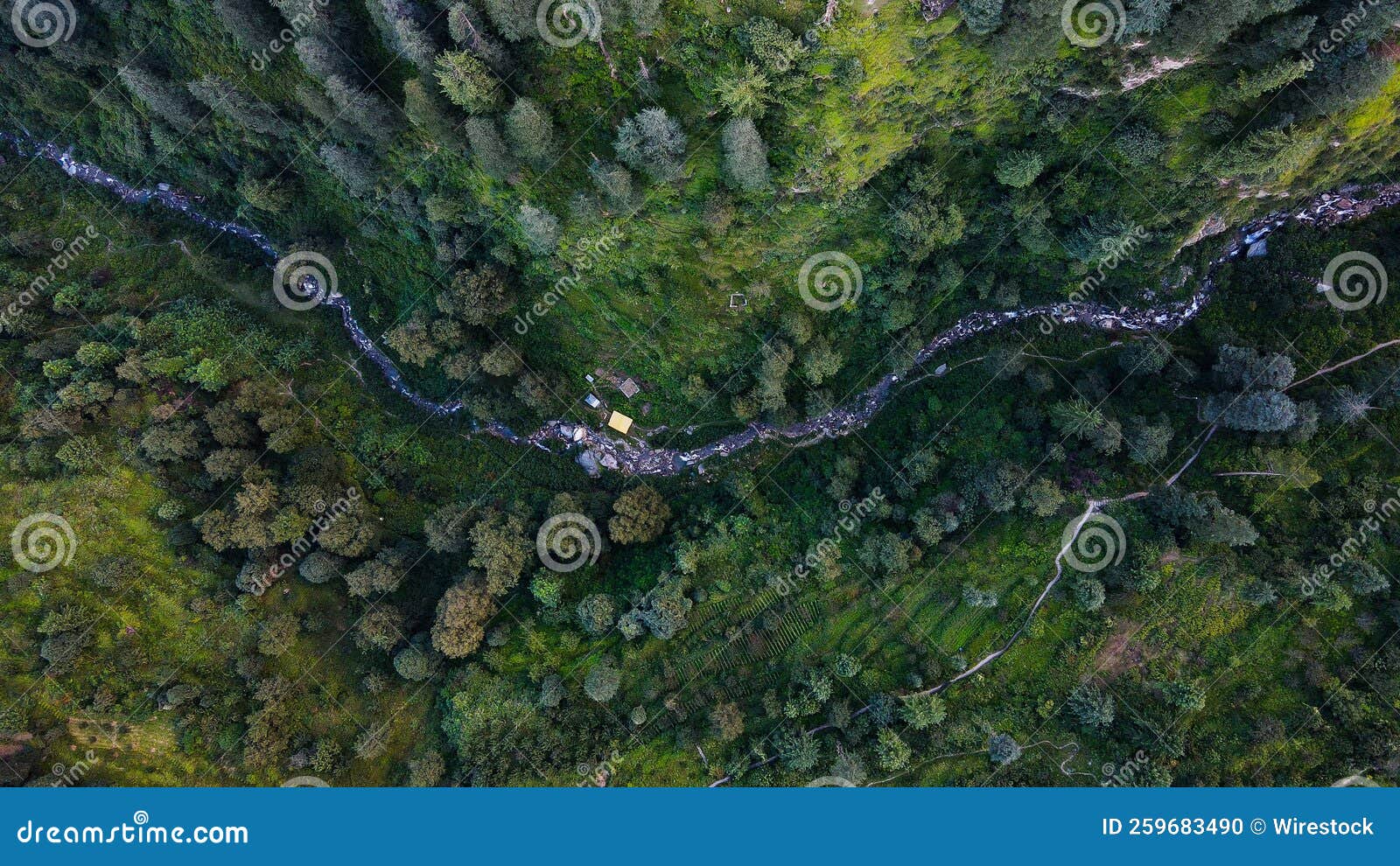 Top View of a Lush Forest with a Flowing River Stock Photo - Image of ...